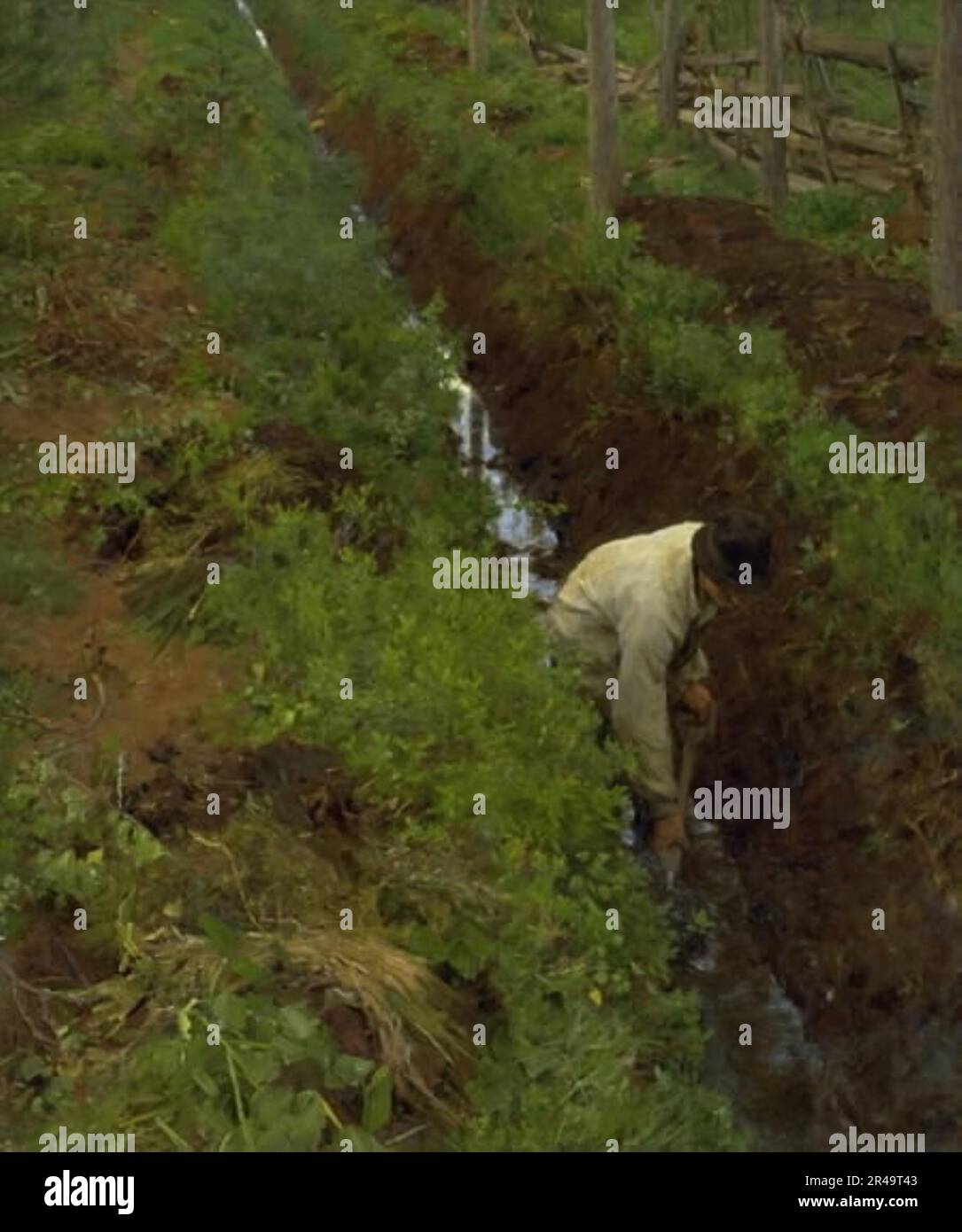 Dredging a Ditch, 1886 Stock Photo - Alamy
