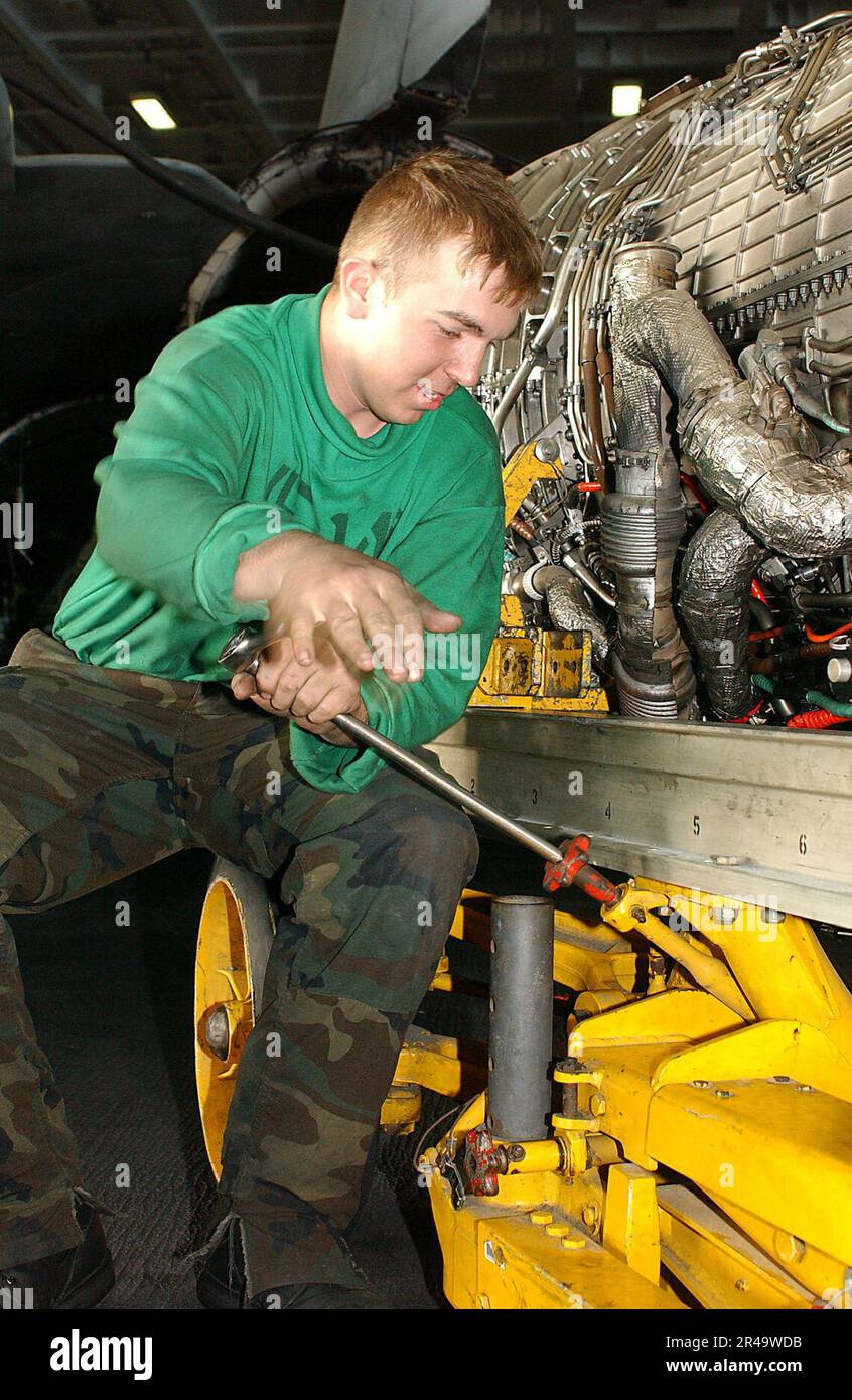 US Navy Aviation Machinist's Mate assigned to the Pukin' Dogs of ...