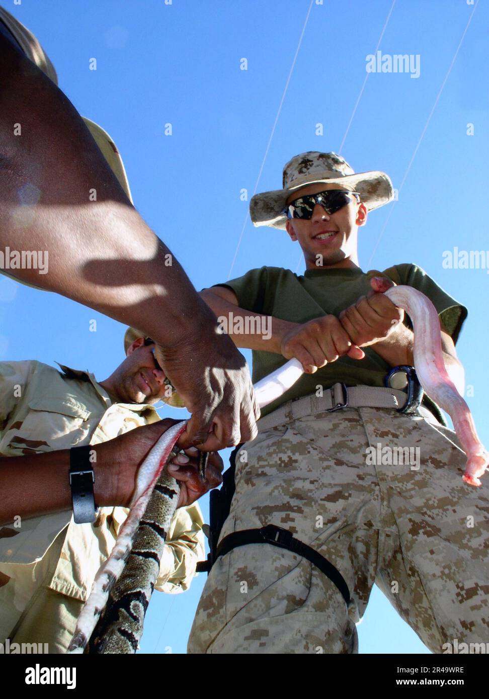 US Navy Lance Cpl. skins a snake to use it as a food source during ...
