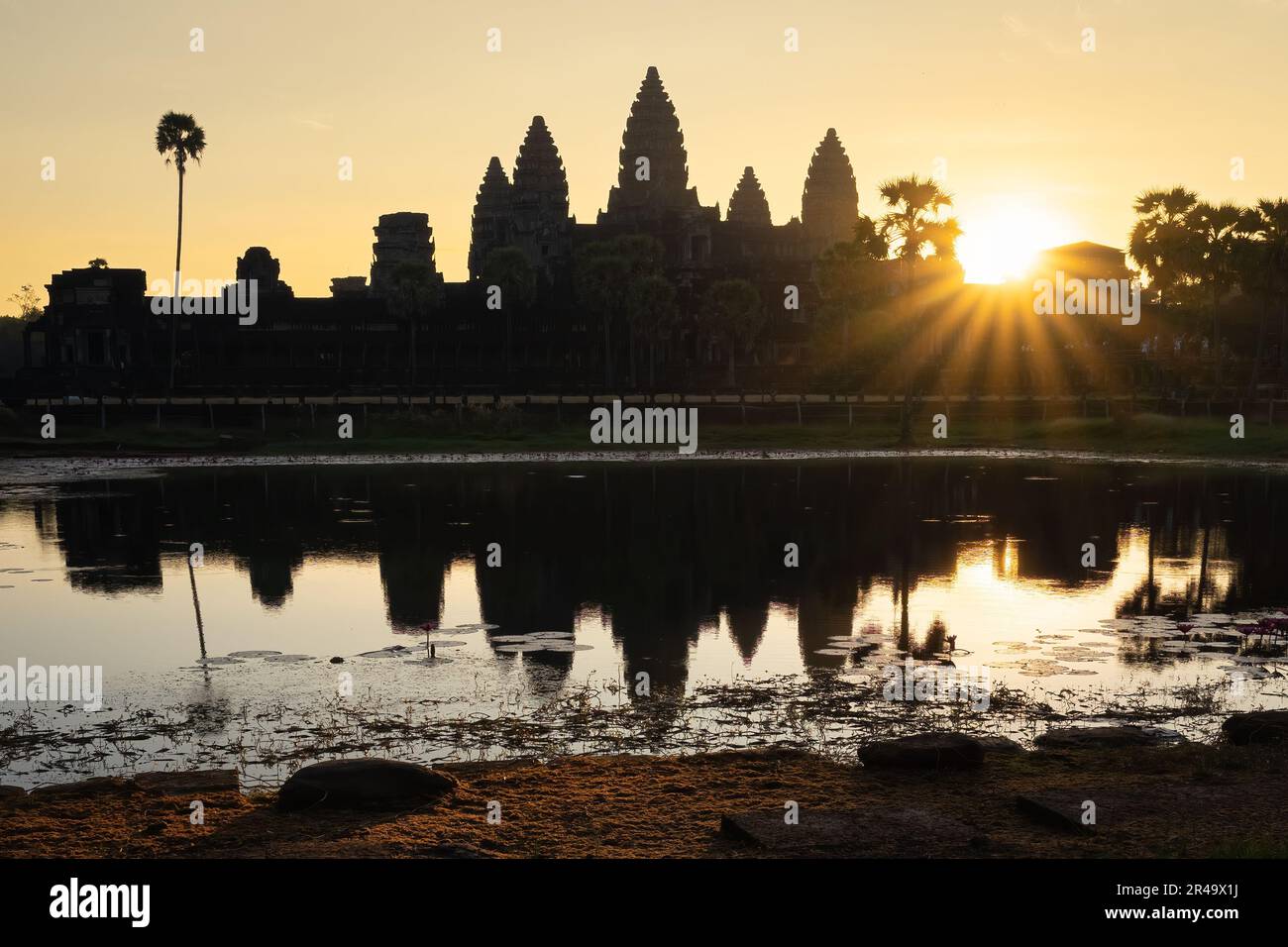 The gorgeous view of Angkor Wat Buddhist temple in Cambodia illuminated ...