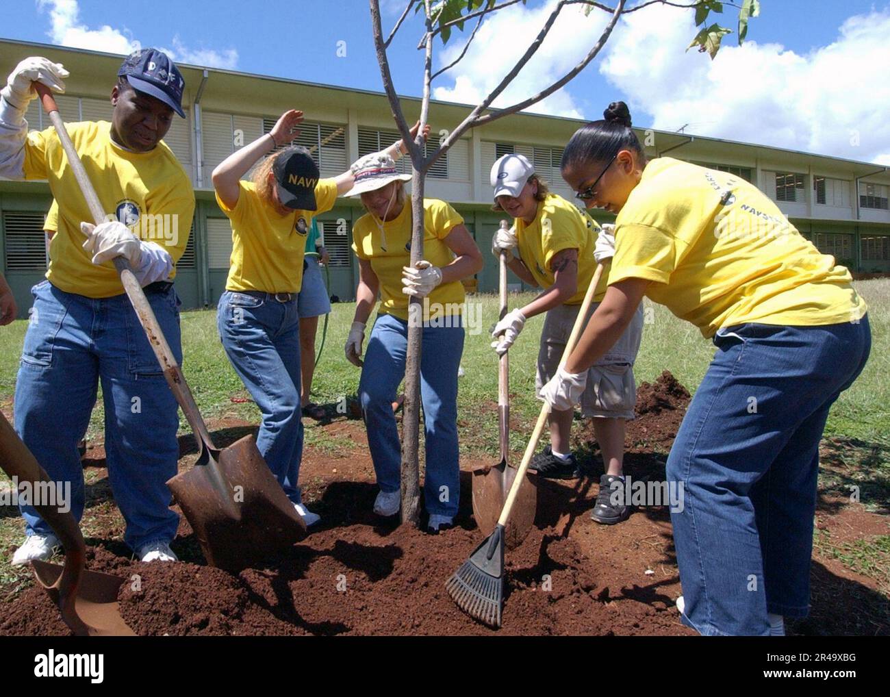 US Navy Sailors assigned to Pearl Harbor Security Detachment help plant ...