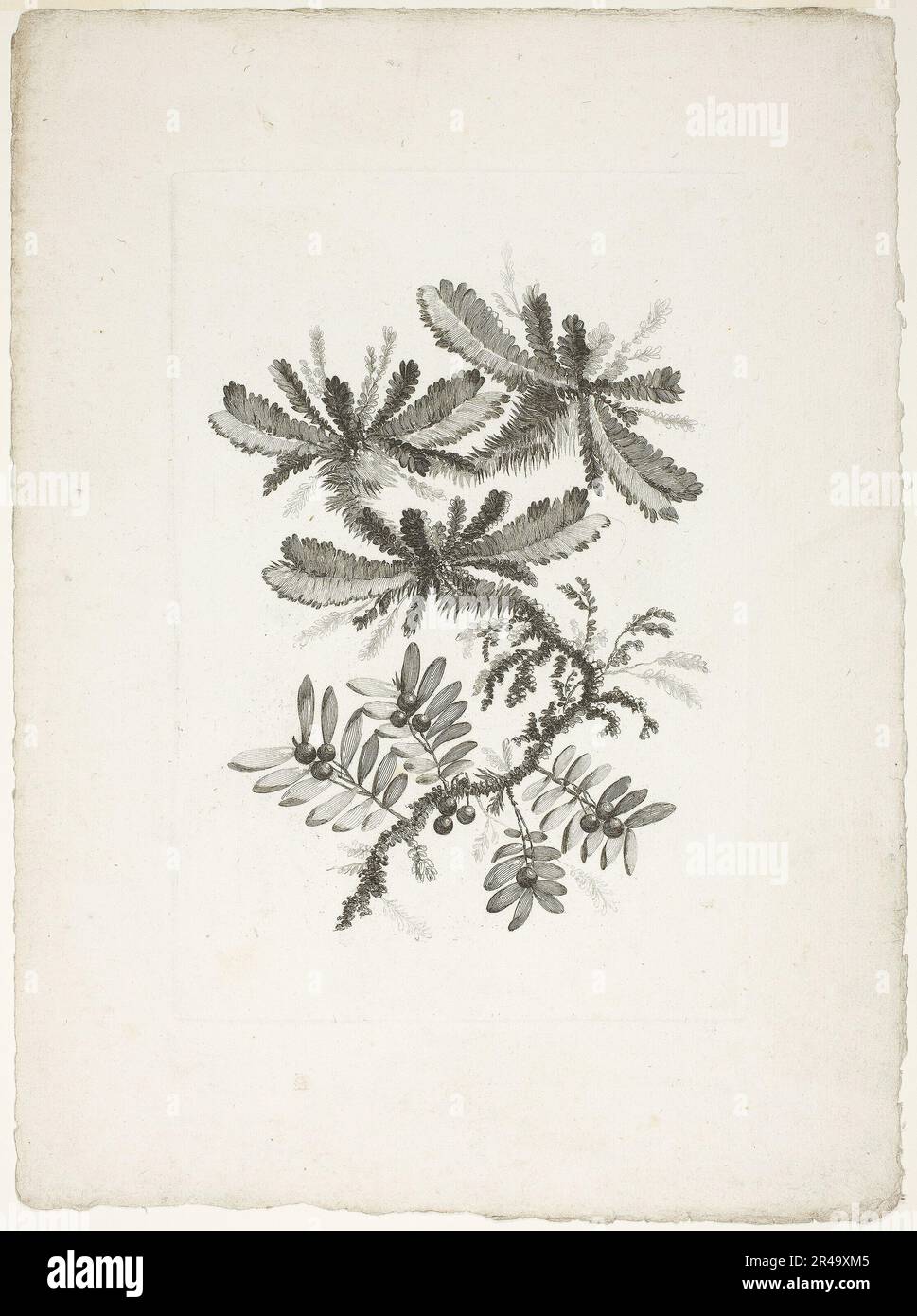 Bouquet, from Collection of New Flowers of Taste for the Manufacture of ...