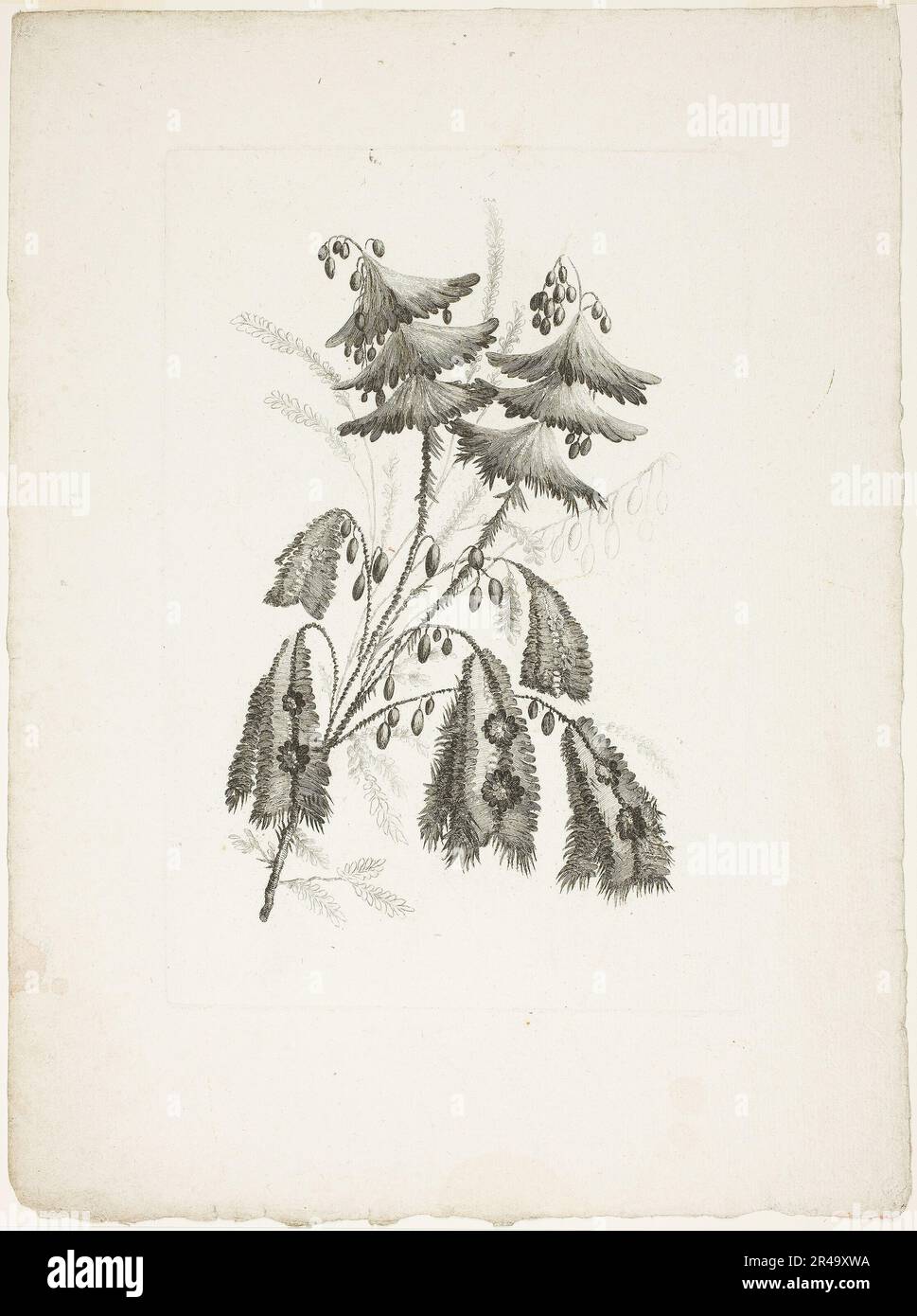 Bouquet, from Collection of New Flowers of Taste for the Manufacture of ...