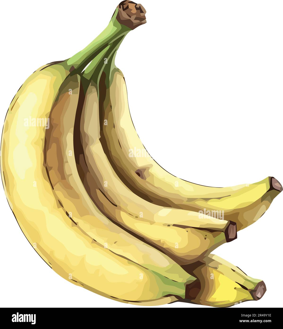 Ripe bananas design Stock Vector Image & Art - Alamy