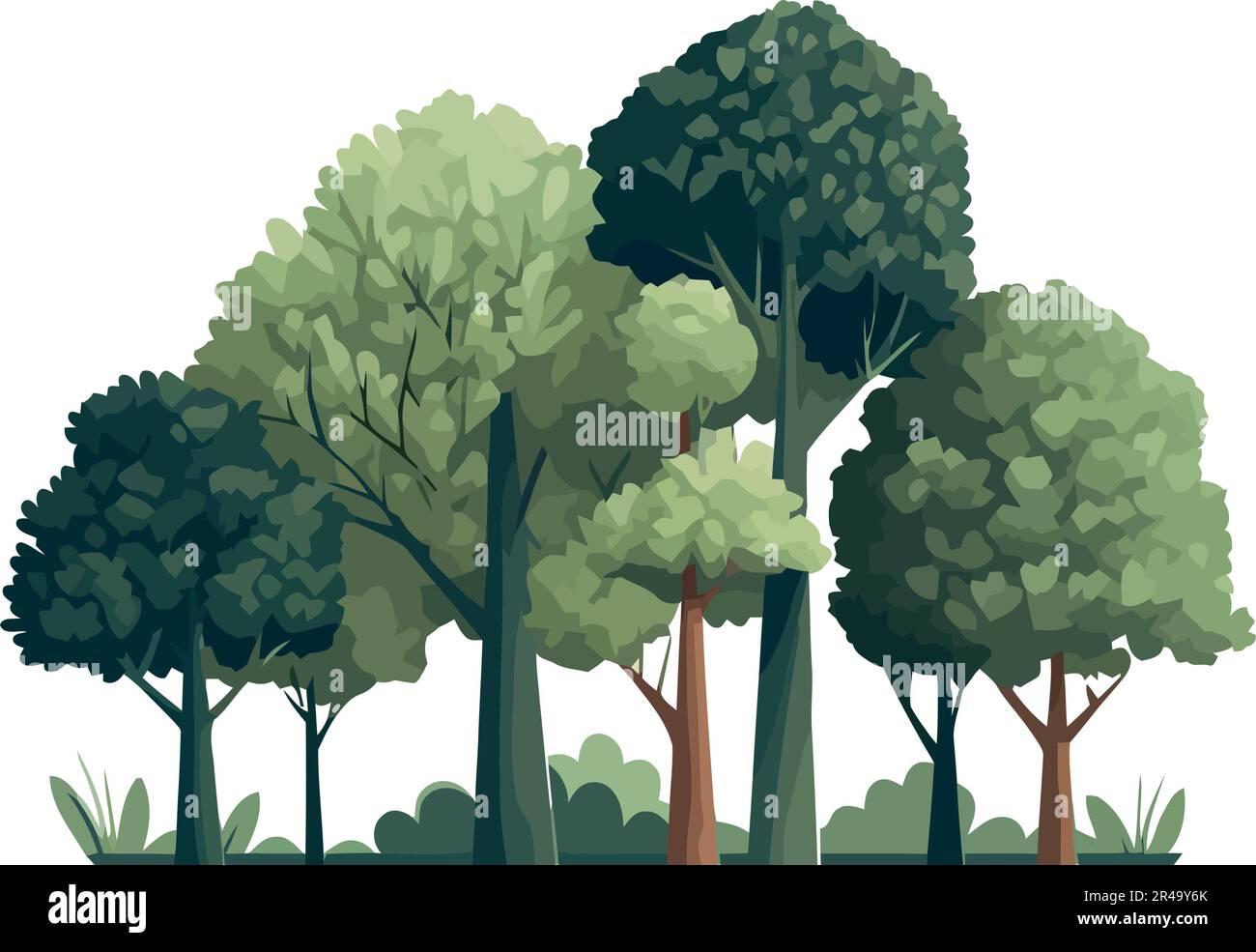 Multi trunk tree Stock Vector Images - Alamy
