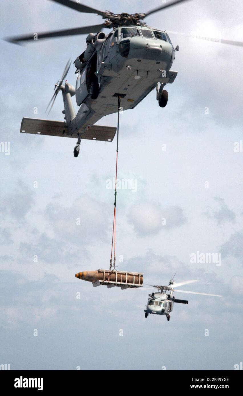 US Navy MH-60S Knighthawk helicopters assigned to the Dragon Whales of ...