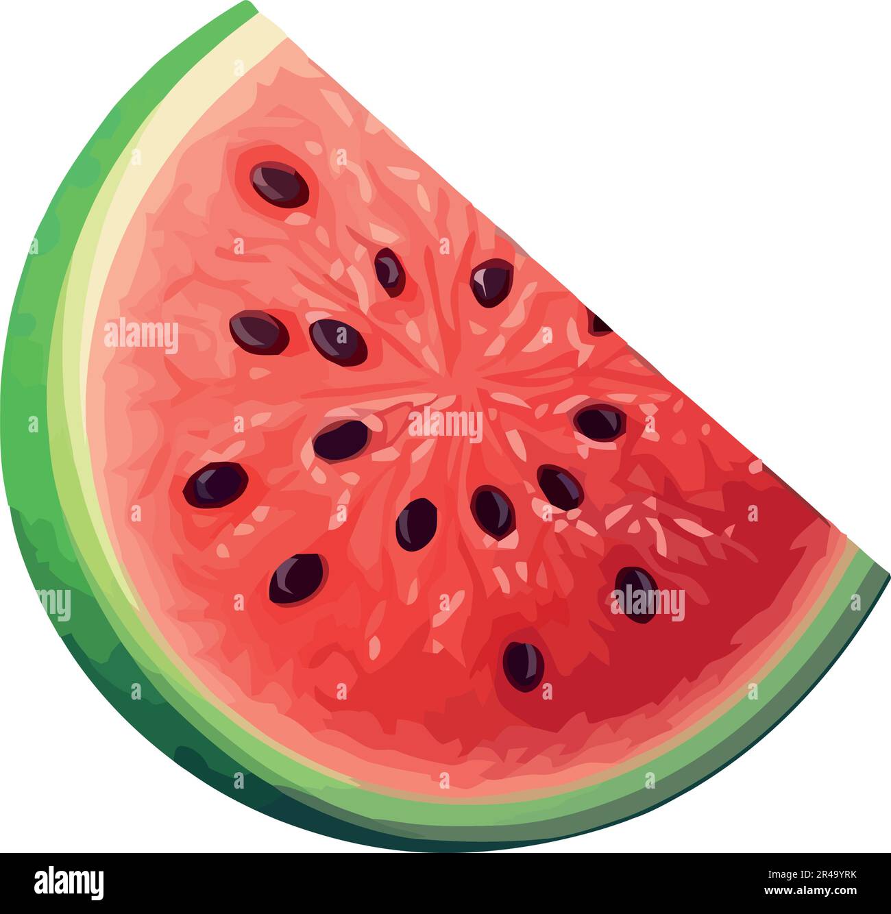 Watermelon cross section Stock Vector Images - Alamy
