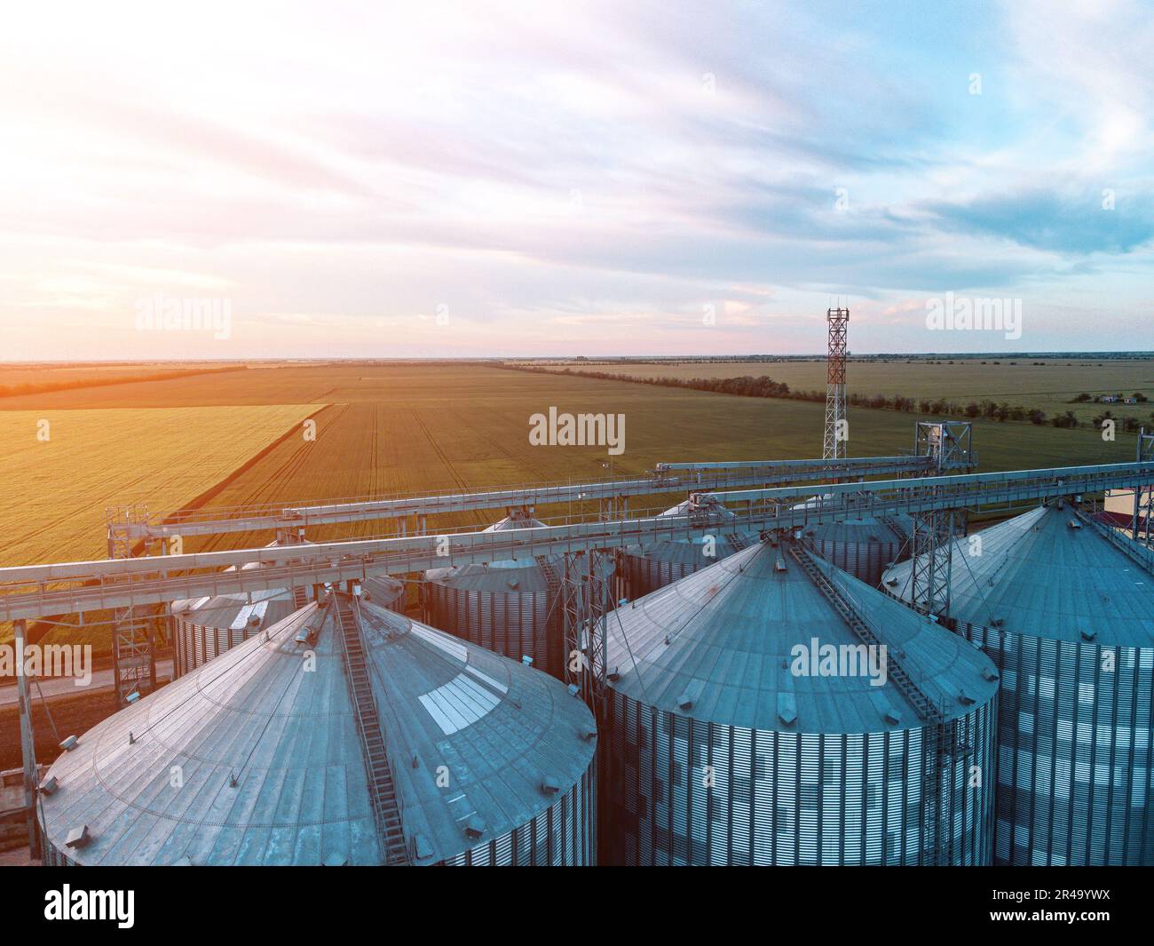 Grain silos on a green field background with warm sunset light. Grain ...