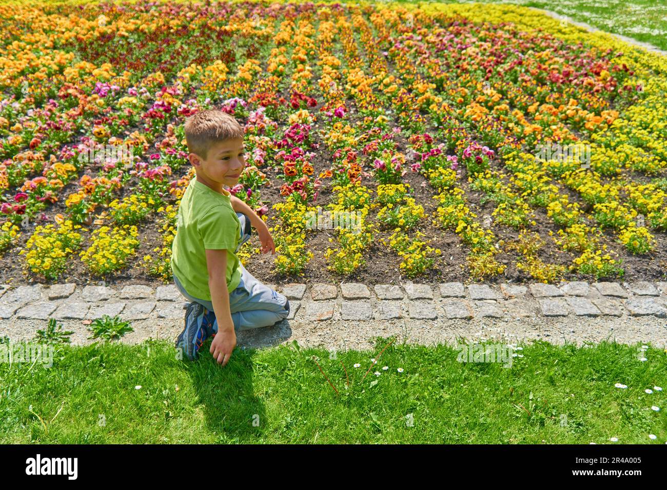 A young boy kneeling on the ground in a garden, intently studying a ...