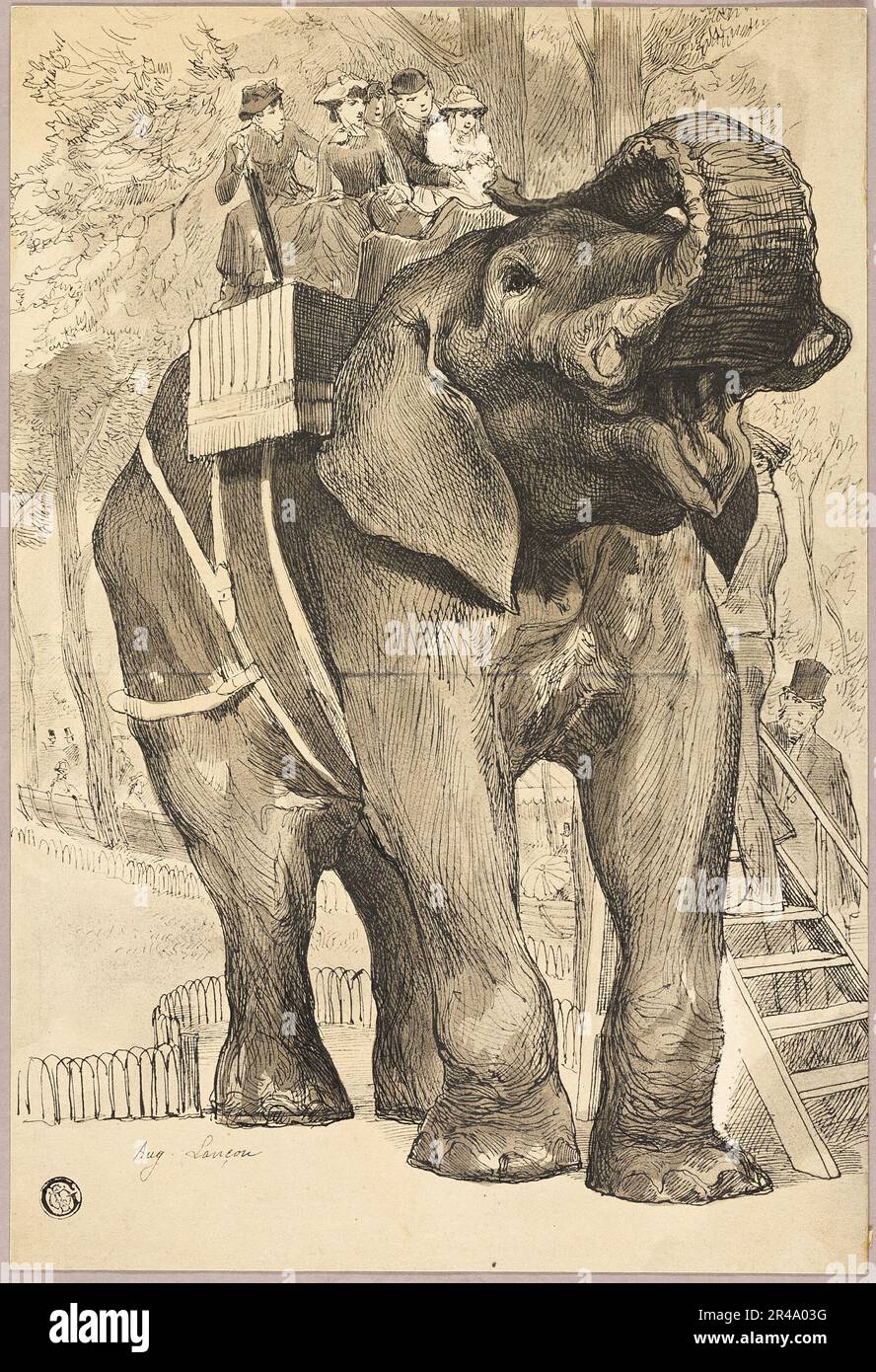 Guy riding an elephant hi-res stock photography and images - Alamy