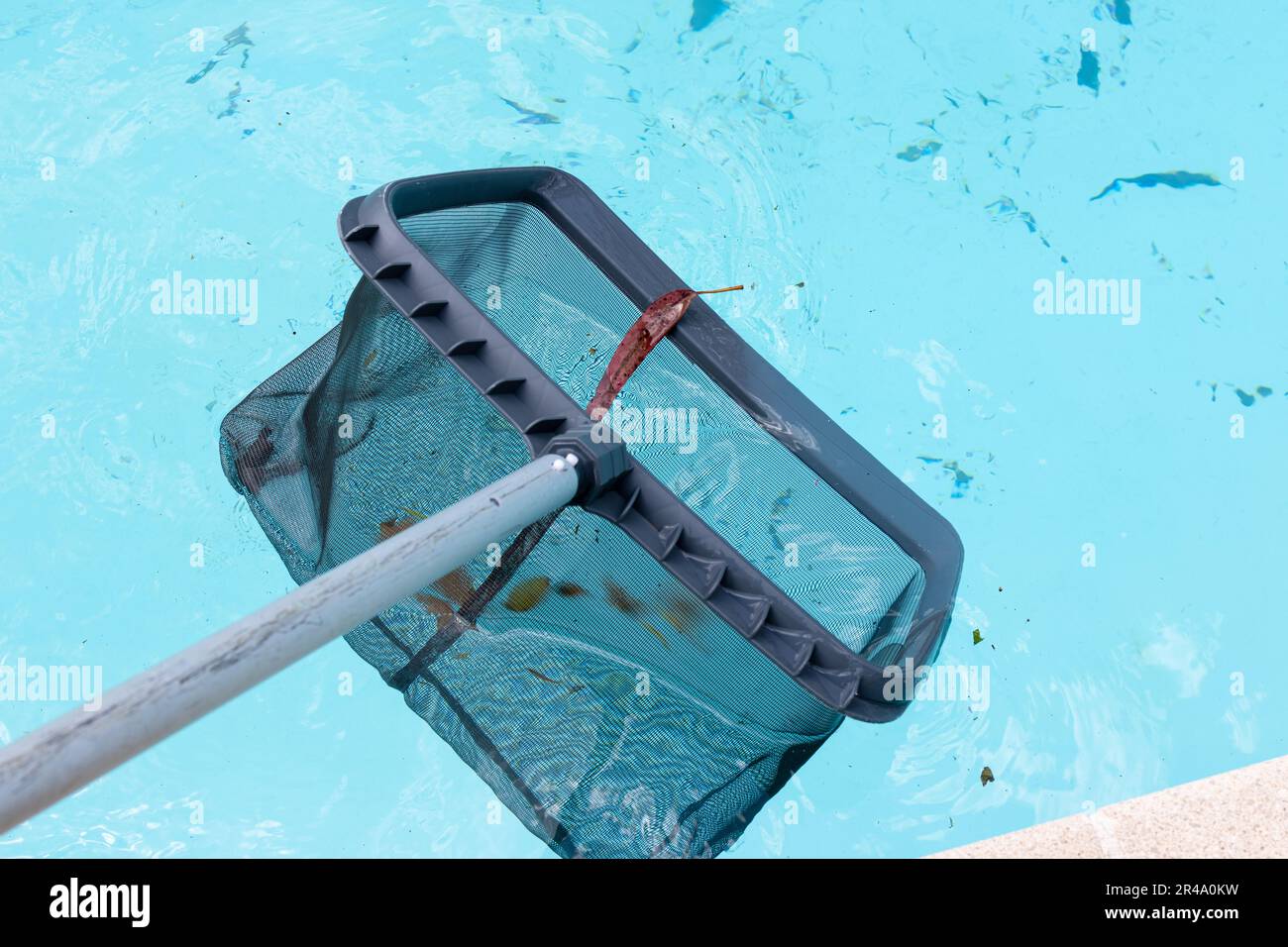 Pool Skimmer cleaning a dirty swimming pool. Pool cleaning concept ...