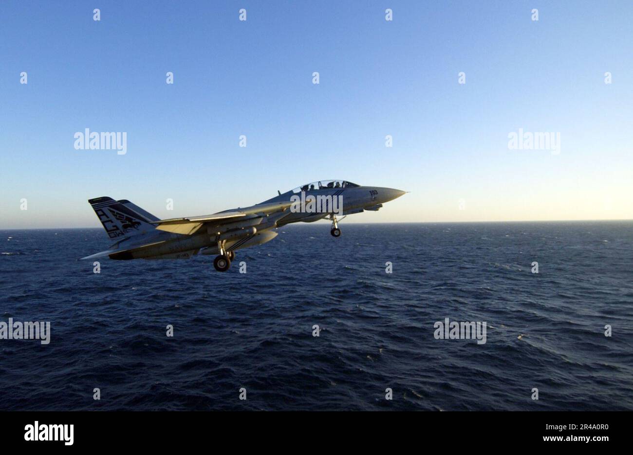 US Navy An F-14B Tomcat assigned to the Pukin' Dogs of Fighter Squadron One Four Three (VF-143 ...