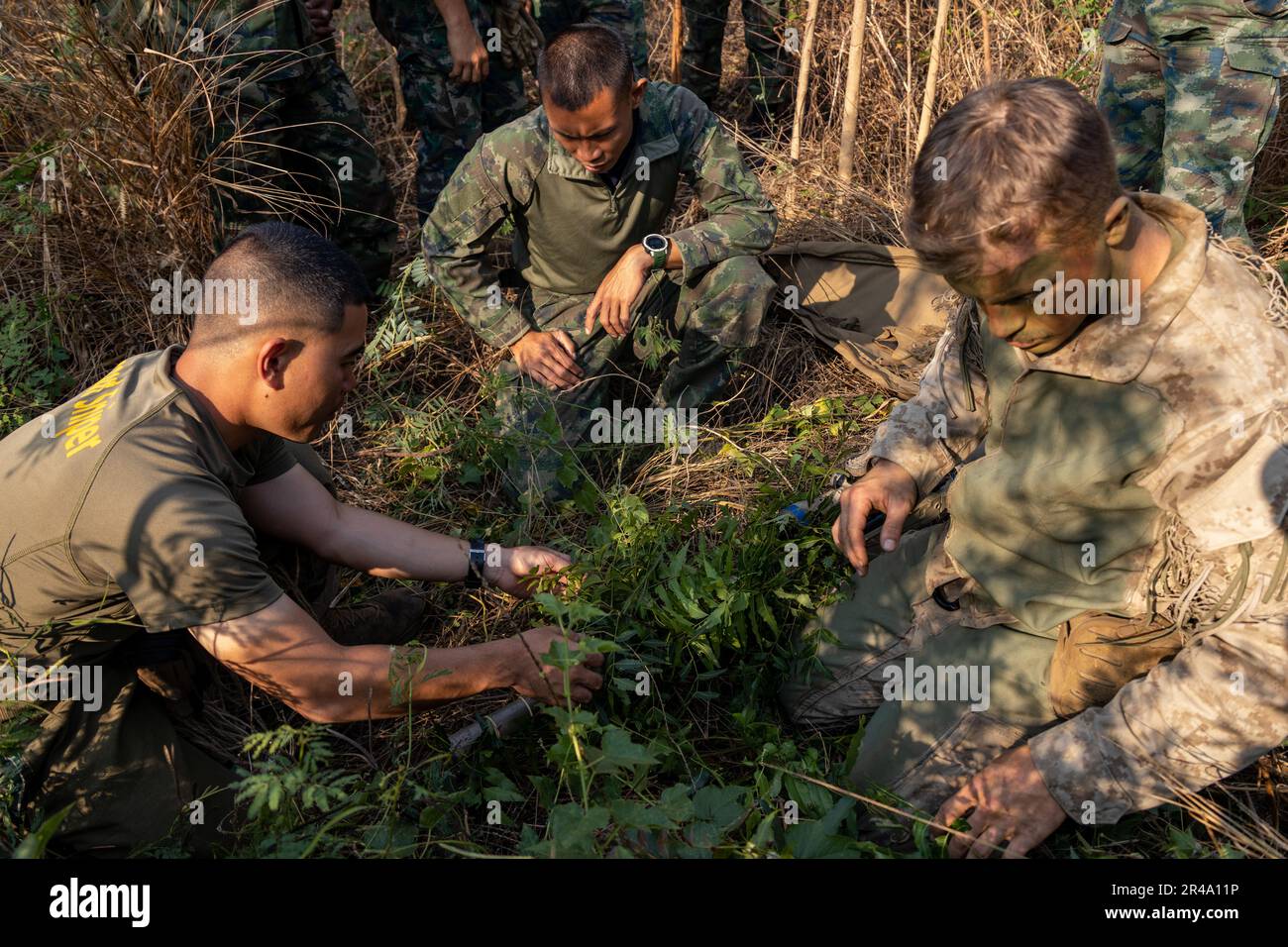 U.S. Marine Corps Cpl. Jonathon Damitio, a professionally instructed ...
