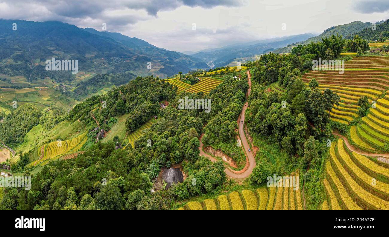 Sunset in Mu Cang Chai terraces, Vietnam Stock Photo - Alamy