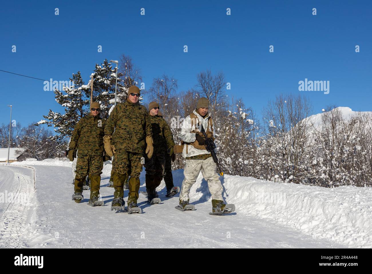 U.S. Marine Corps Brig. Gen. Michael E. McWilliams, commanding general ...