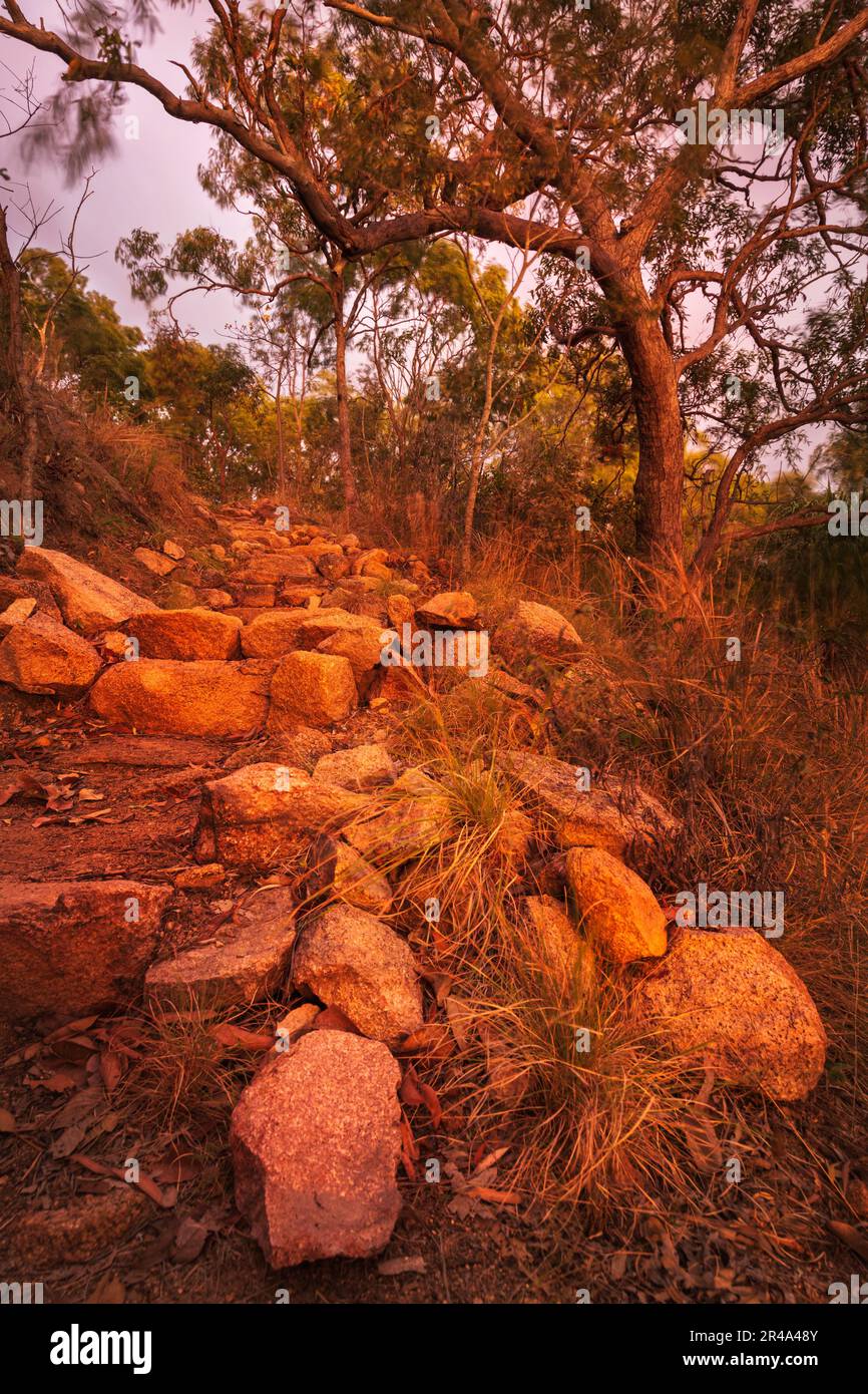 A scenic view of bushland near Arcadia on Magnetic Island, located in ...