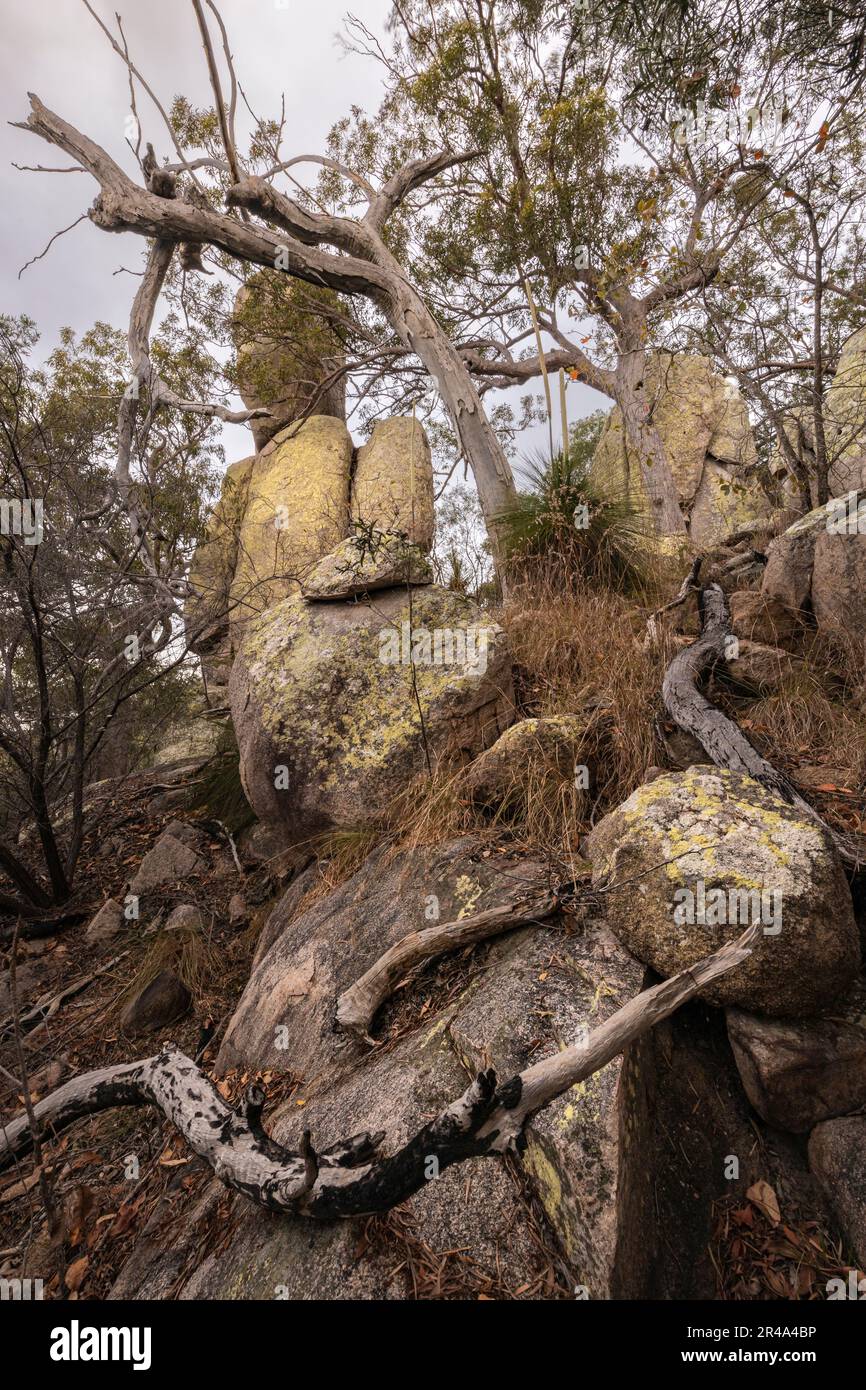 A vertical image of large rocks on Magnetic Island in Townsville ...