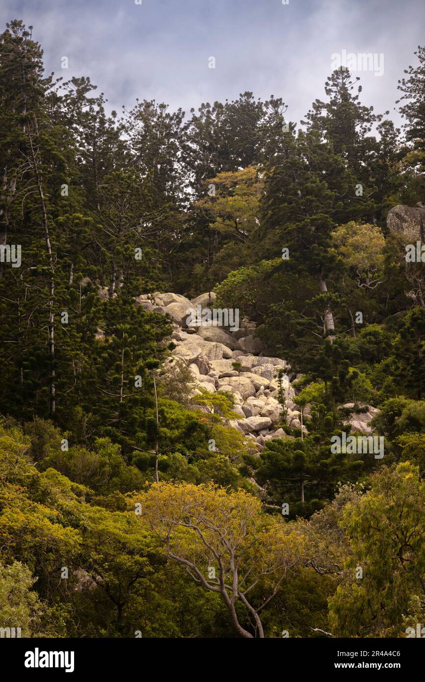 Vertical shot of a stunning natural landscape in Arcadia, Magnetic ...