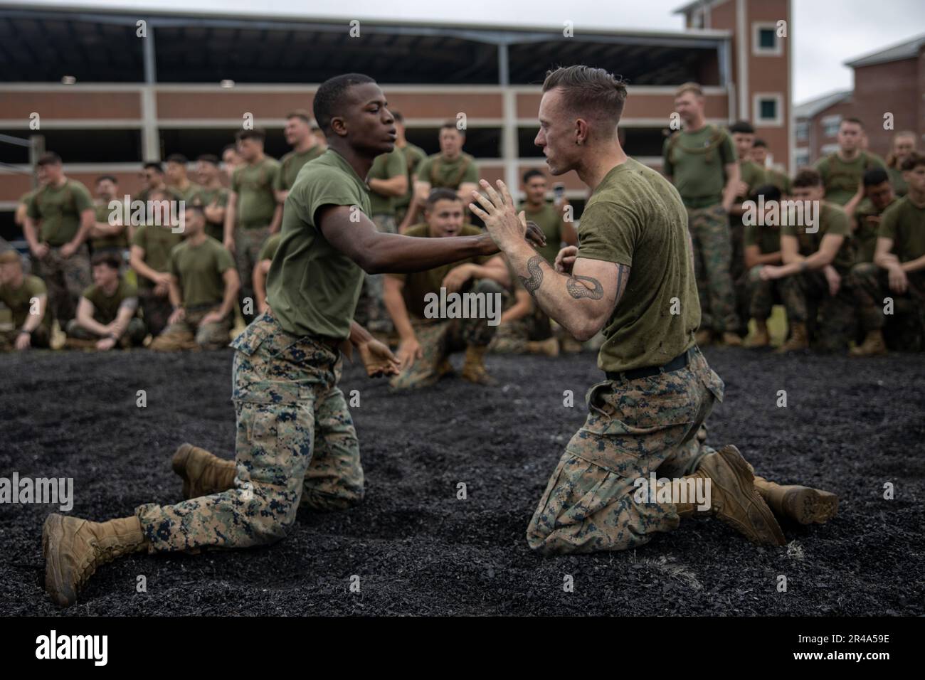 U.S. Marines with 2d Assault Amphibian Battalion (AAbn), 2d Marine ...