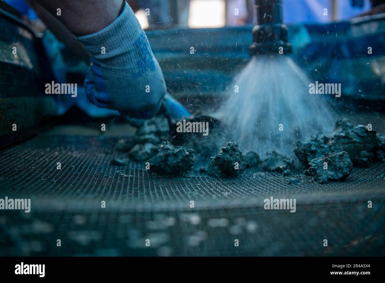 Vfw commander in chief hi-res stock photography and images - Alamy