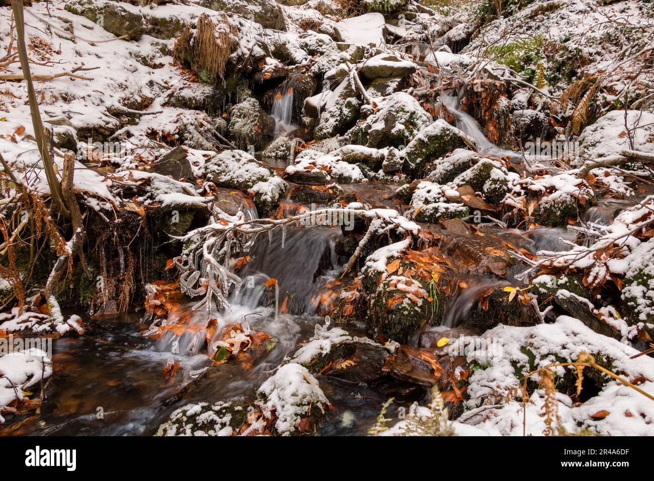 A small stream running through a forest Stock Photo - Alamy