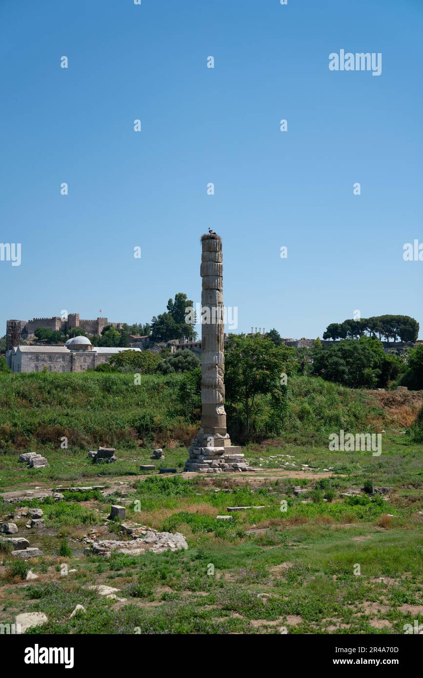 A beautiful Turkish ancient pillar still standing tall on grass against ...