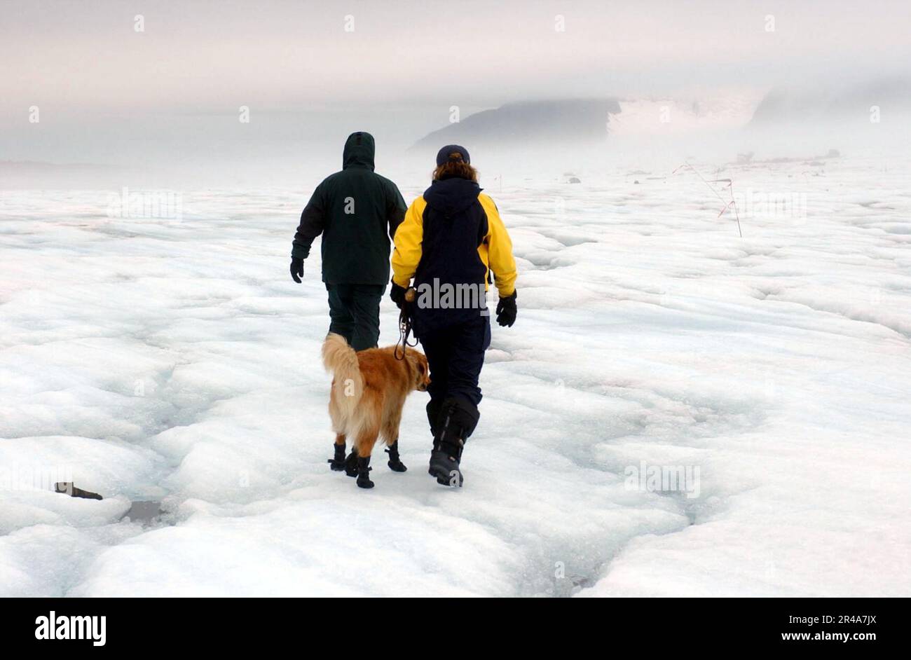 US Navy Rudy Hutchinson and Susan Frank are led by cadaver dog, Tucker ...