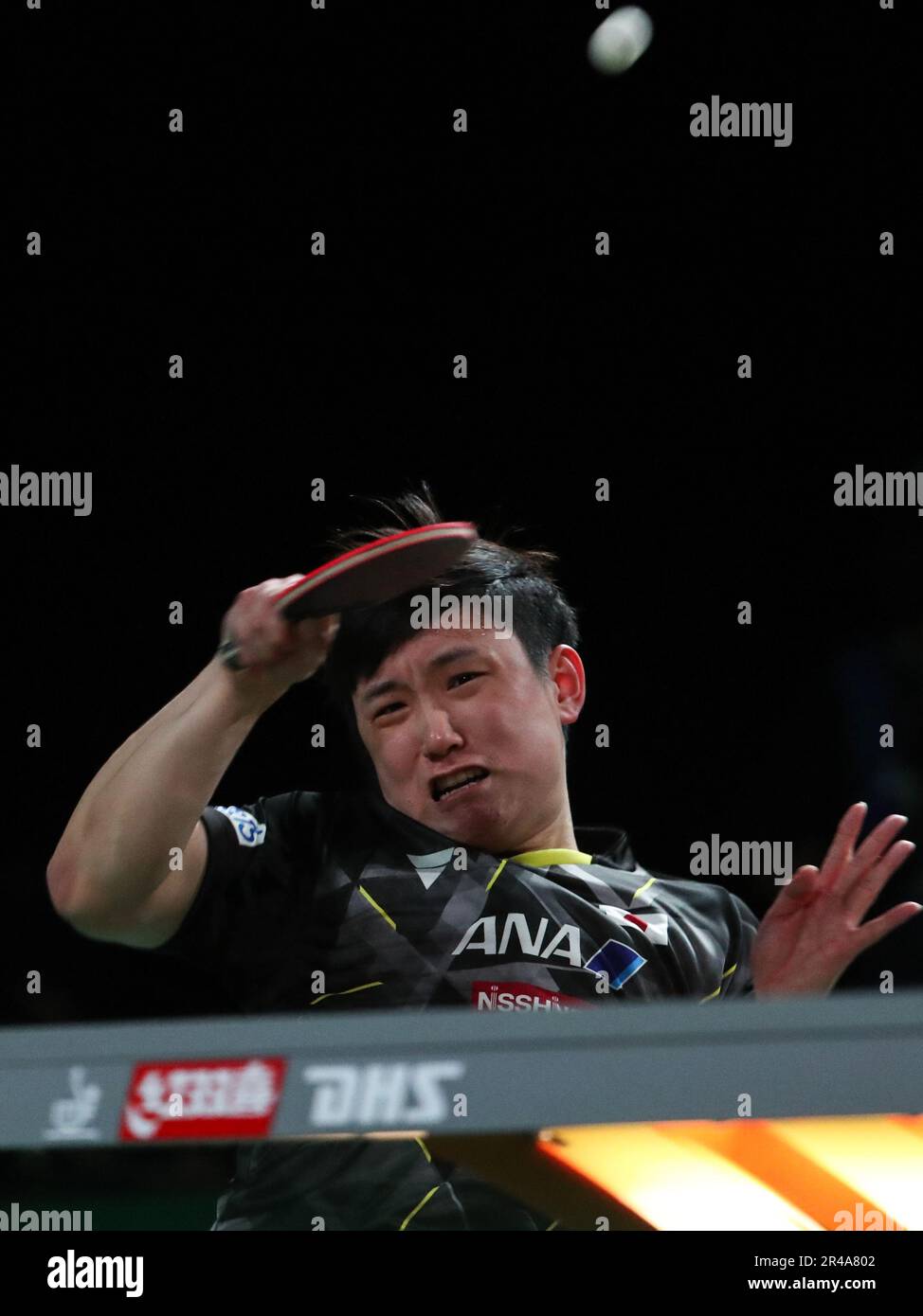Xu jingkun hi-res stock photography and images - Alamy