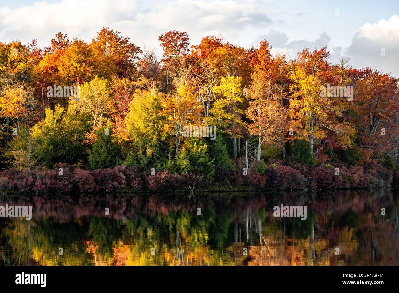 A picturesque view of fall colors on Lake Jean at Ricketts Glen State ...