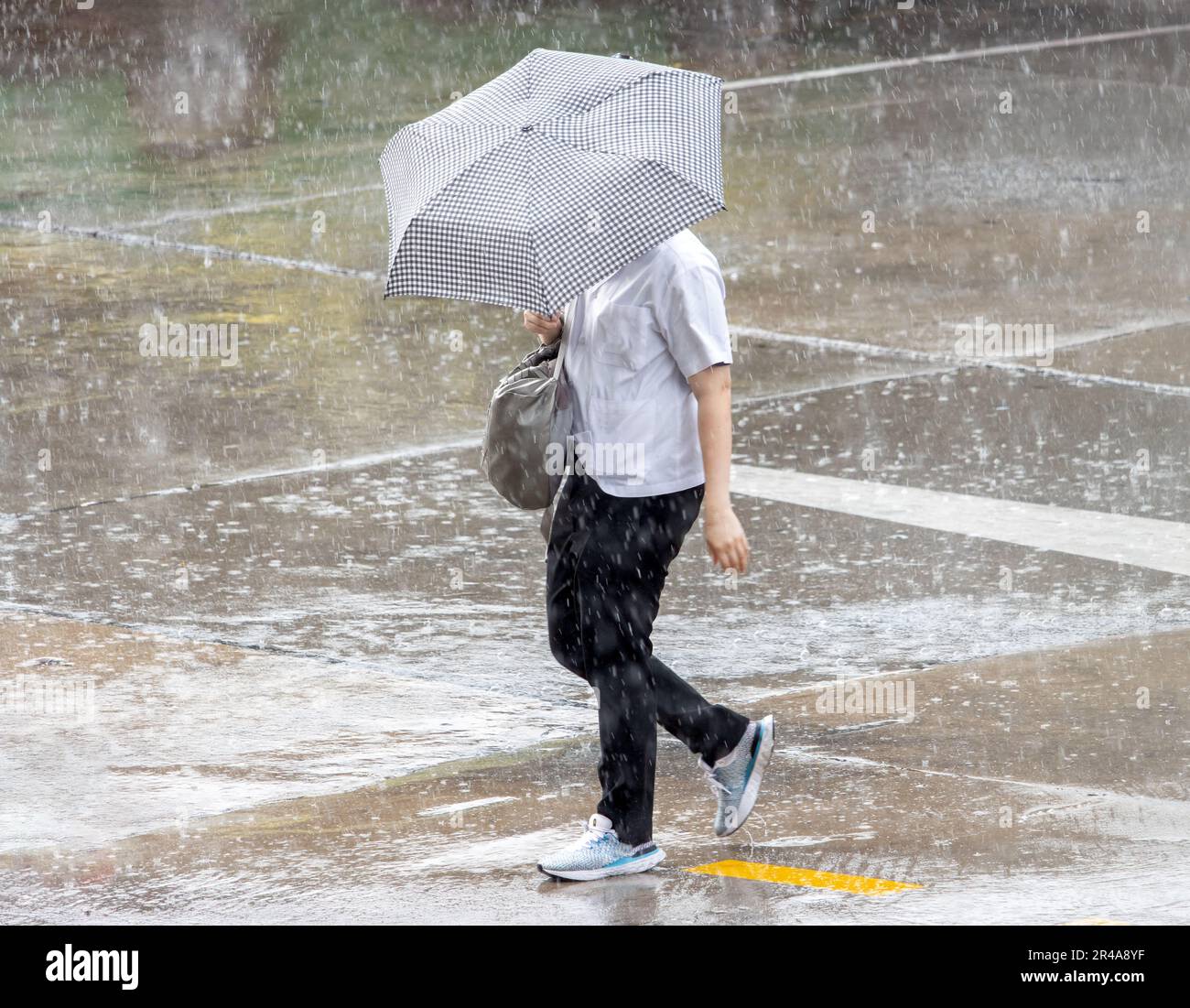 A man with umbrella walking down the street in the rain Stock Photo - Alamy
