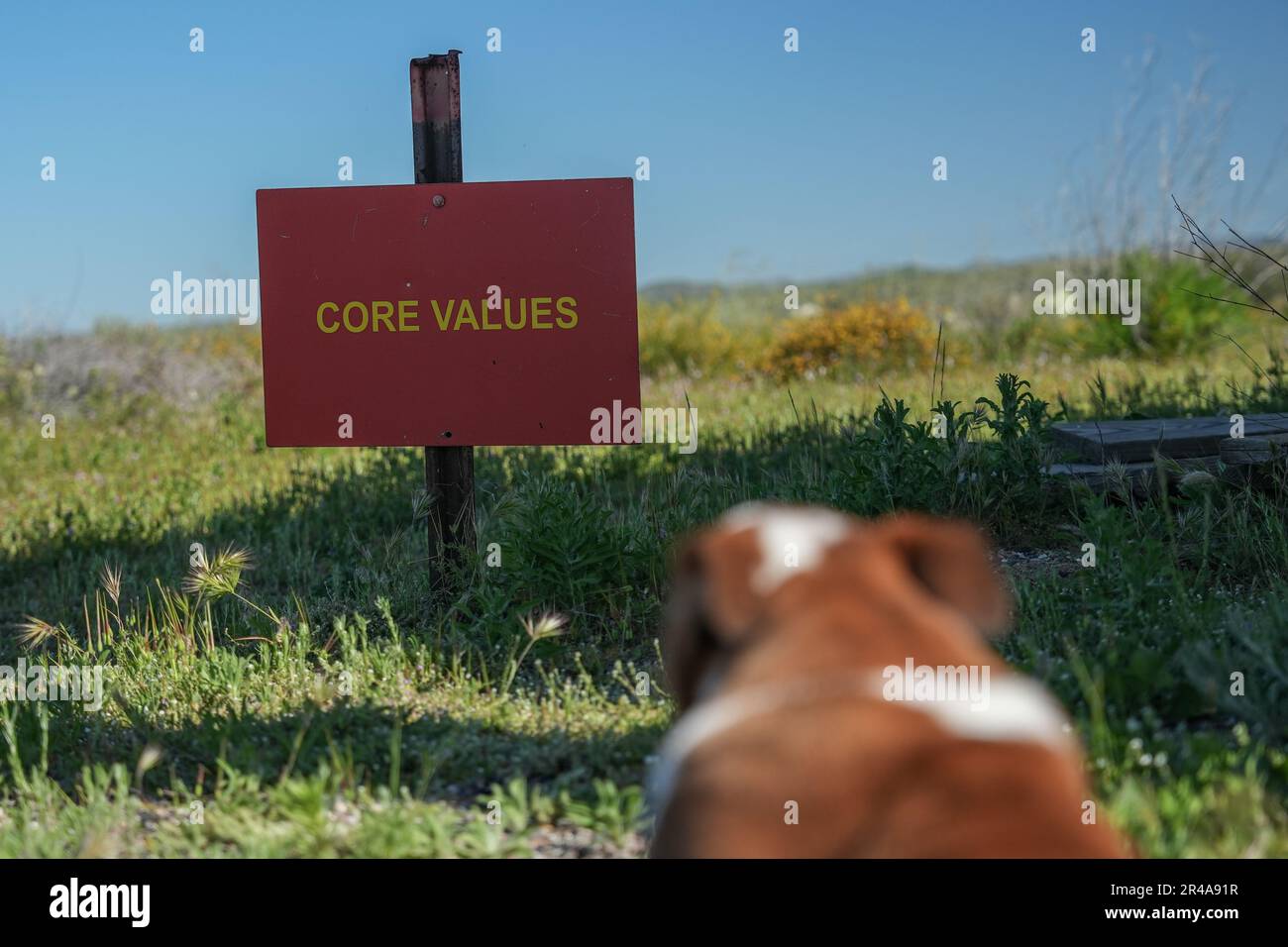 U.S. Marine Corps Rct. Bruno arrives at the station designated to ...