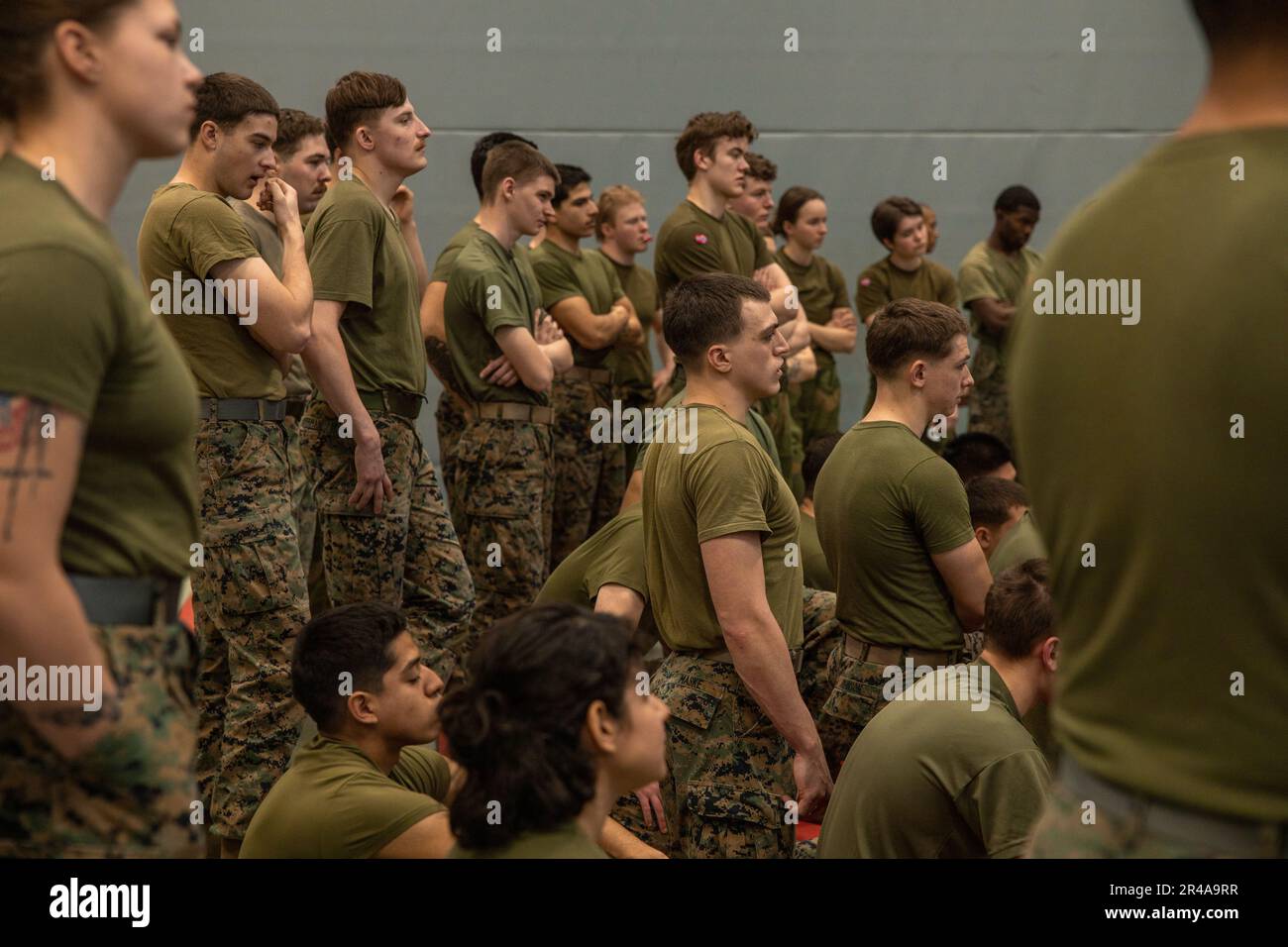 Norwegian Army soldiers and U.S. Marines with 2d Combat Engineer ...
