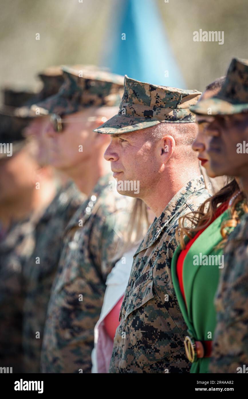 U.S. Marine Corps Col. Sean Dynan, commanding officer of the 15th ...