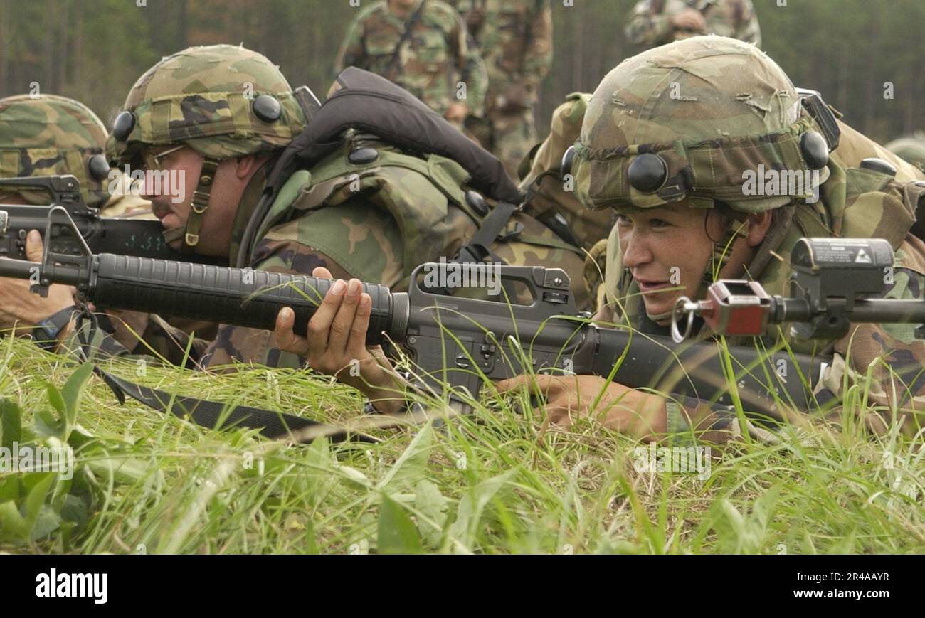 US Navy Seabees, assigned to Naval Mobile Construction Battalion One (NMCB-1), conduct tactical ...