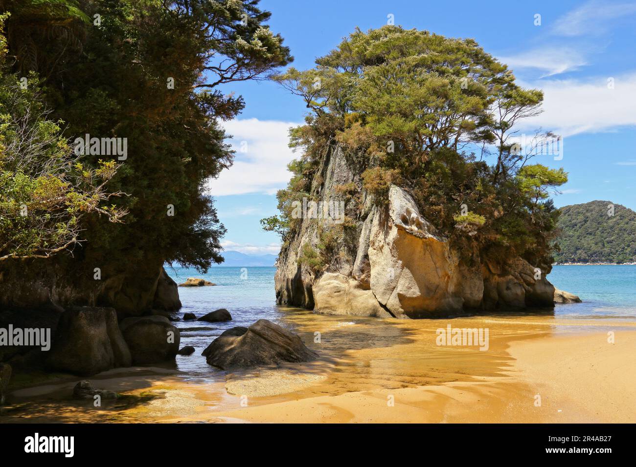 The Abel Tasman national park coastal walk on the South Island in New ...