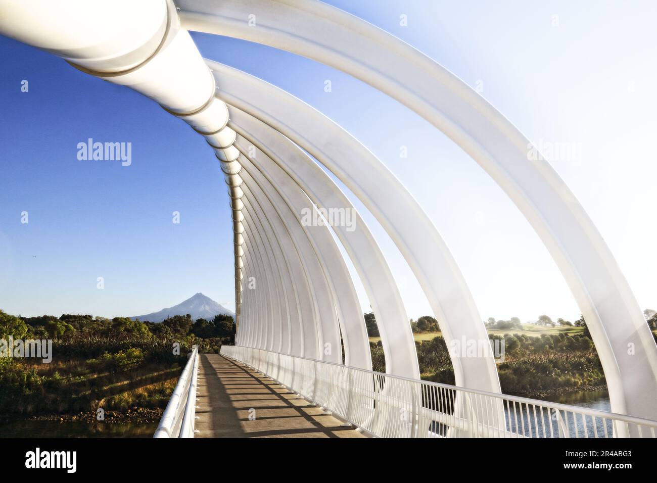 The Te Rewa Rewa bridge with multiple white vertical poles on top of it ...