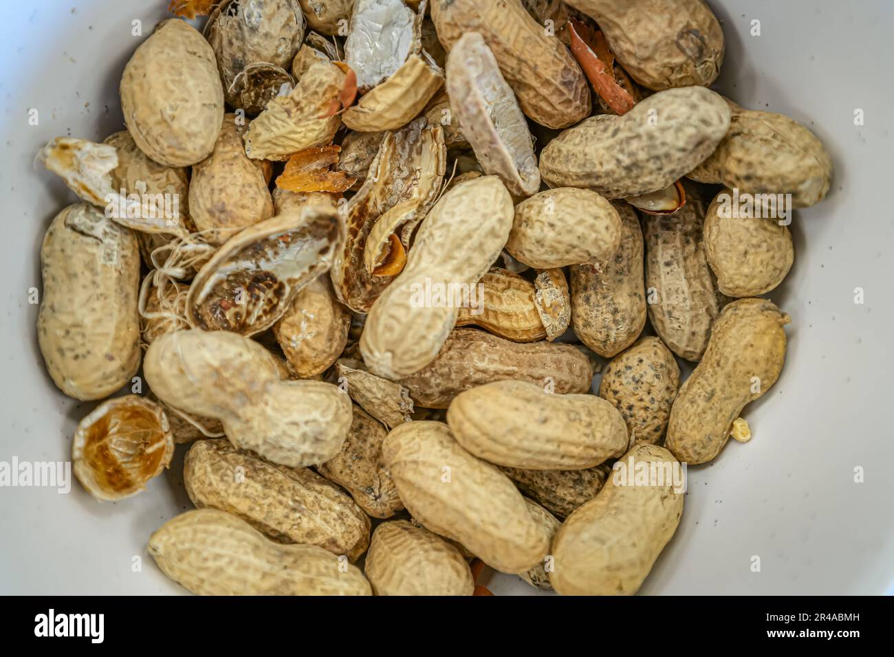 Groundnuts peanuts in shell ready to eat Stock Photo - Alamy