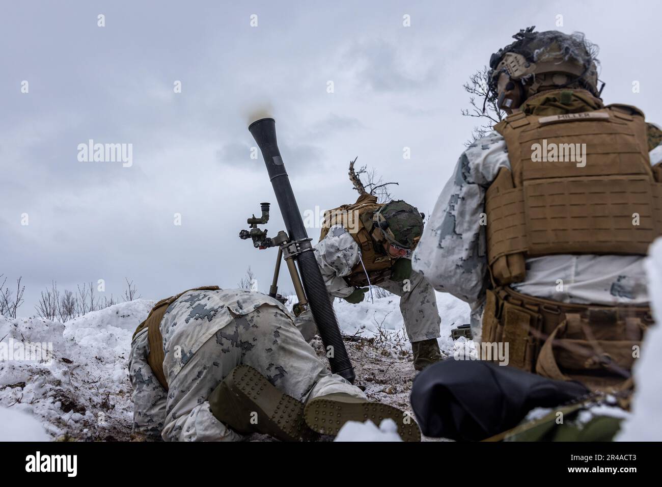 U.S. Marines with 2d Combat Engineer Battalion, 2d Marine Division ...