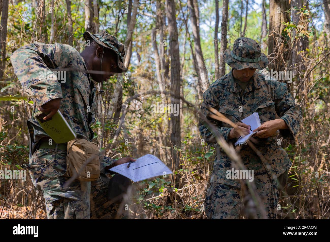 U.S. Marines with 6th Marine Regiment, 2d Marine Division conduct route ...