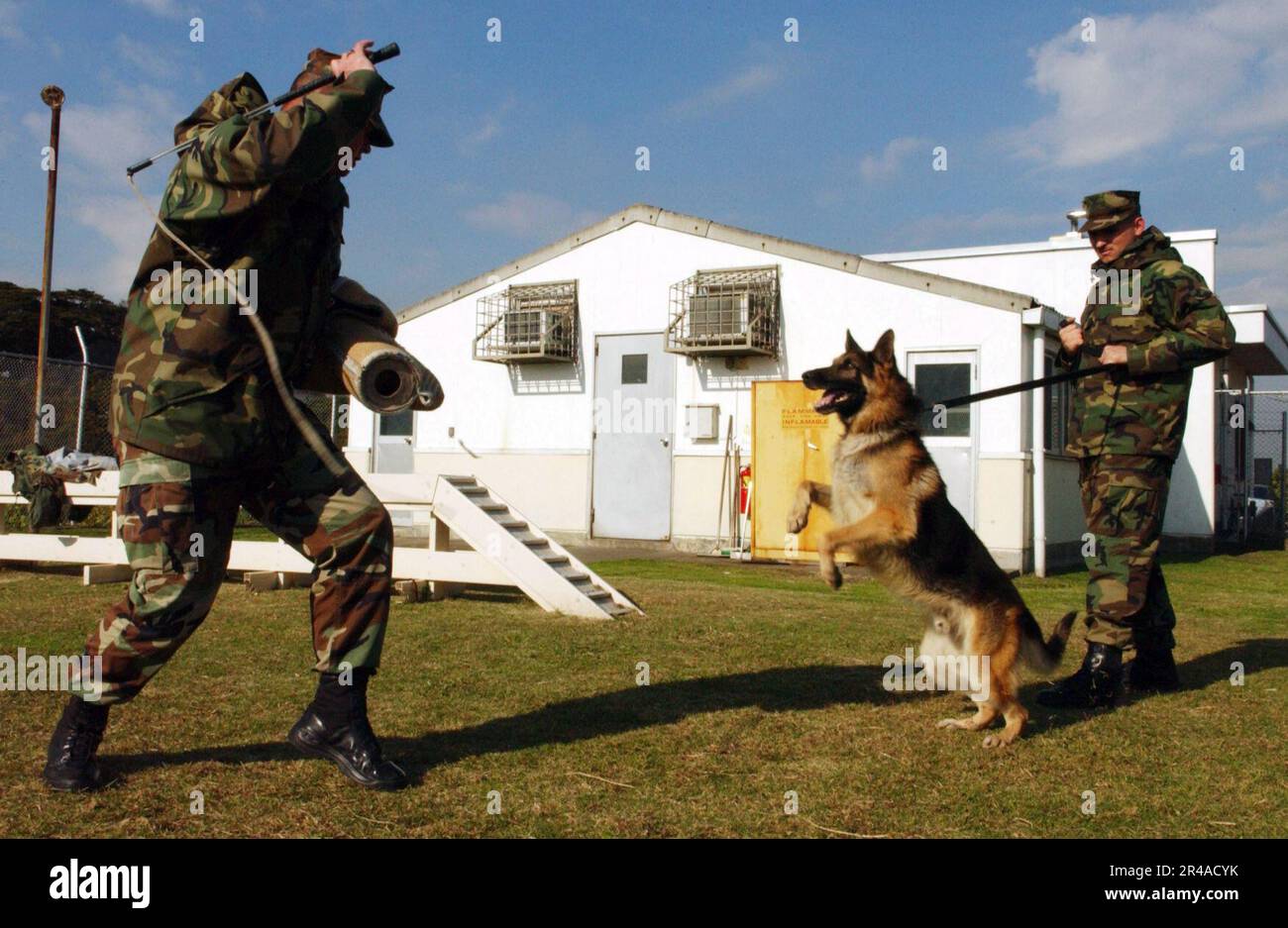 US Navy Master-at-Arms 1st Class N.C., excites a Military Working Dog ...
