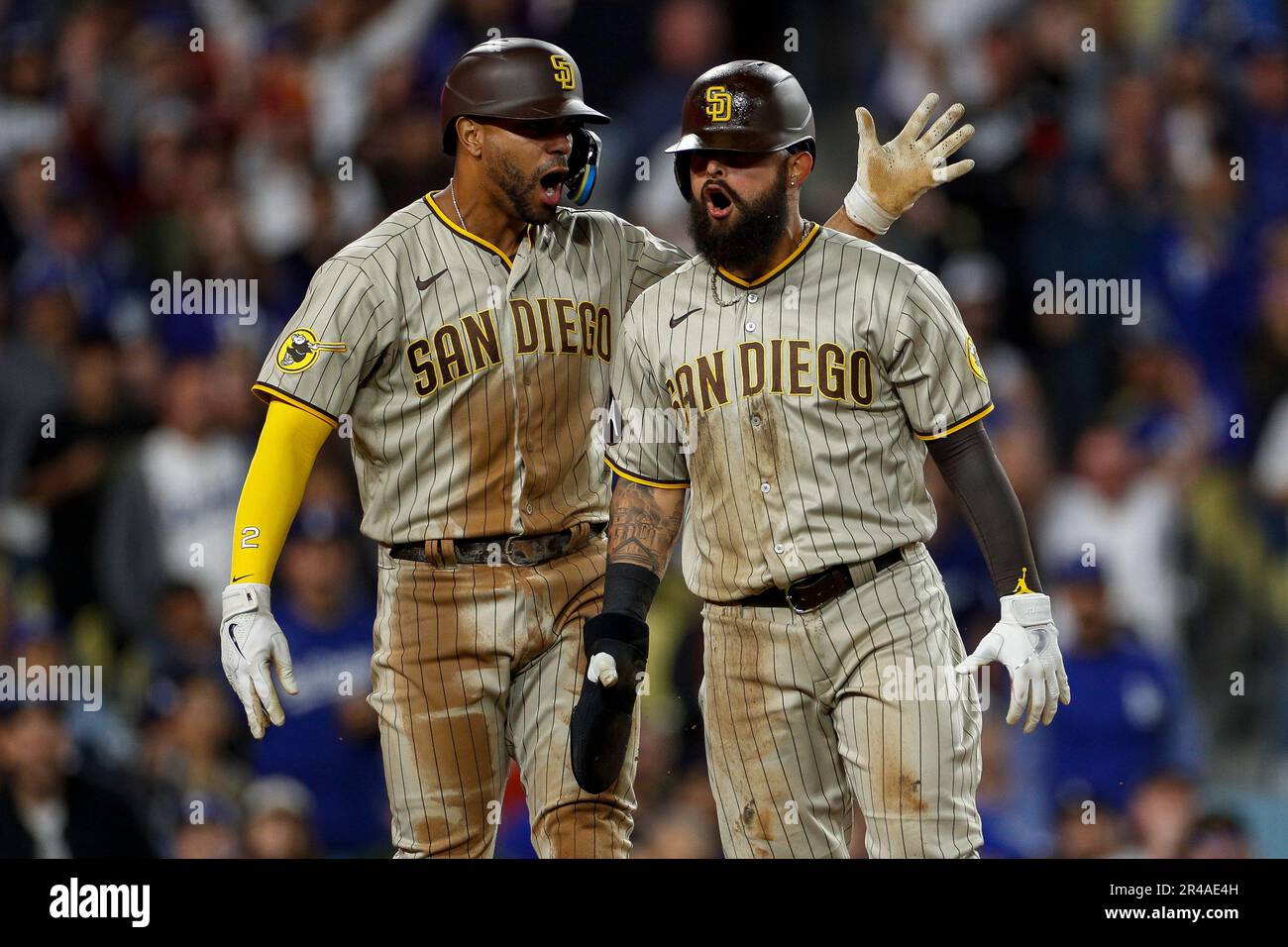 Roughed in hi-res stock photography and images - Alamy