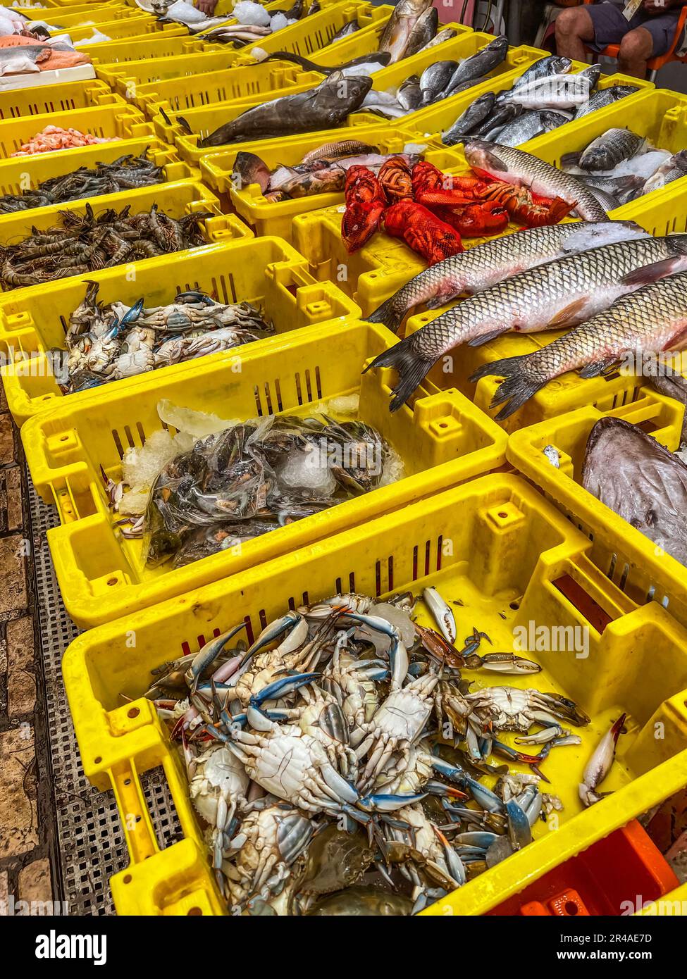 Boxes with fresh seafood in outdoor market Stock Photo - Alamy
