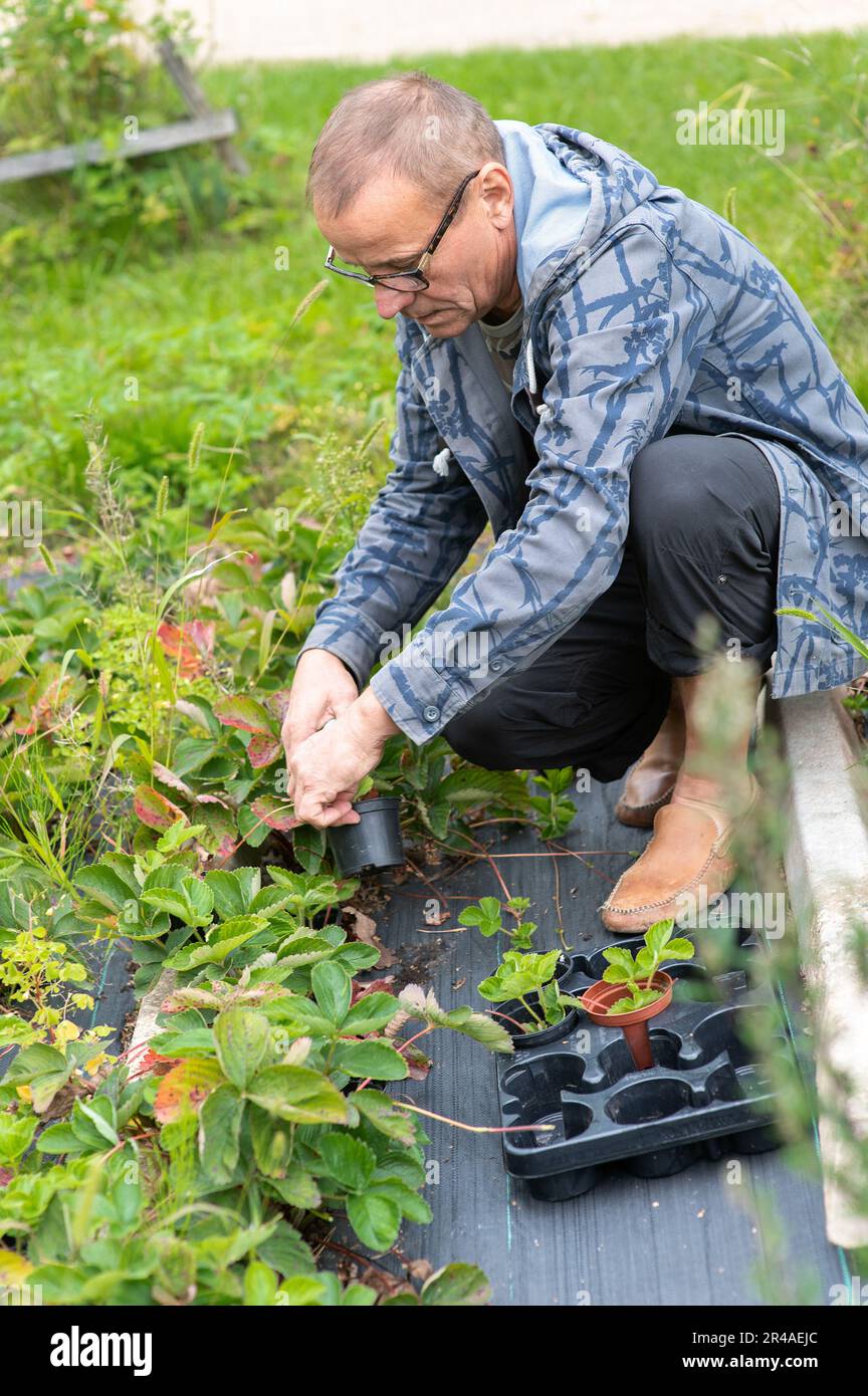 Stooped over hi-res stock photography and images - Alamy