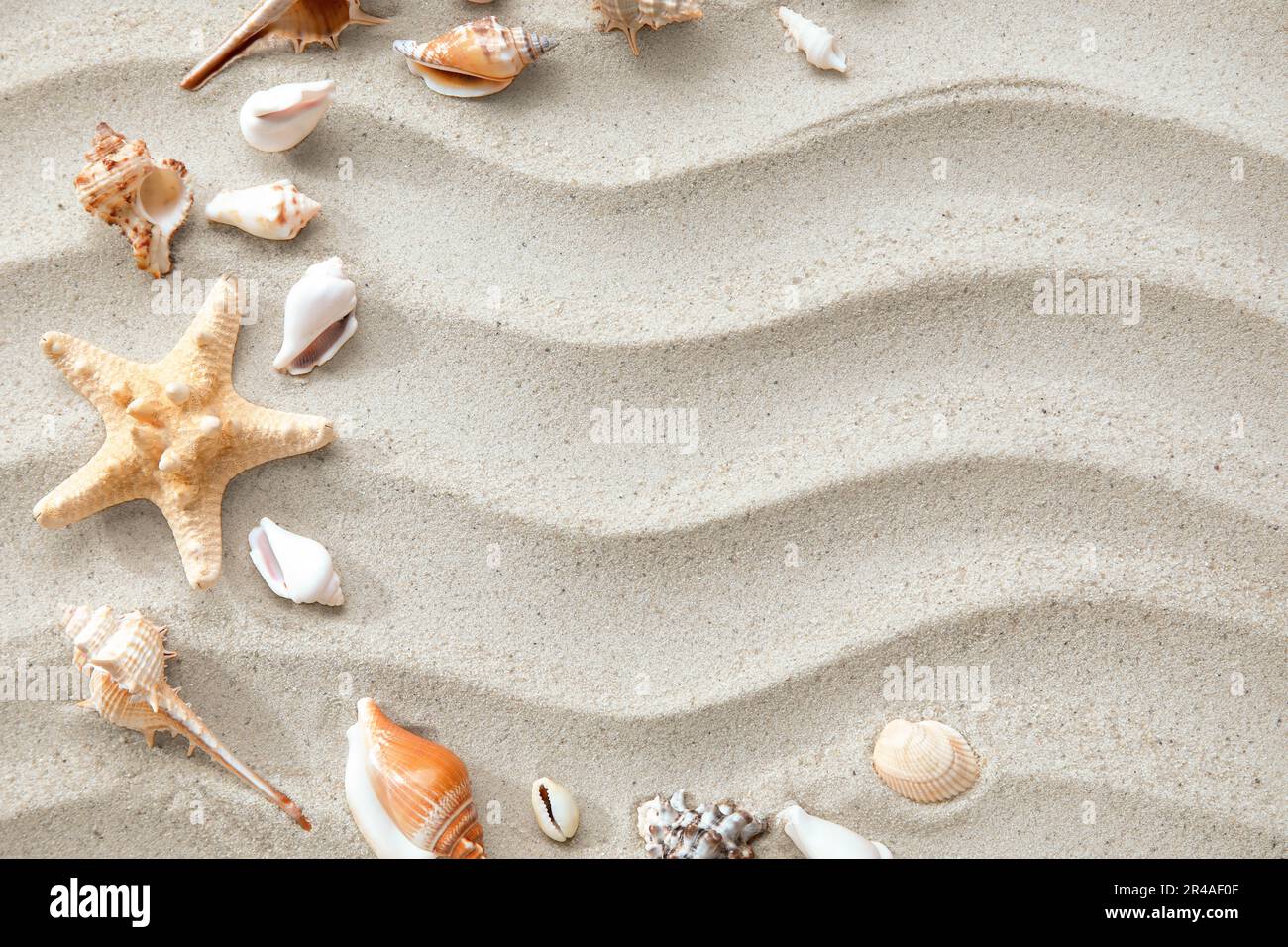 Frame made of starfish and seashells on sand Stock Photo - Alamy
