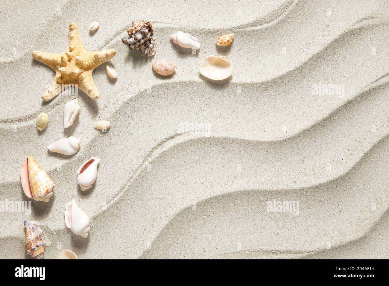 Frame made of starfish and seashells Stock Photo - Alamy