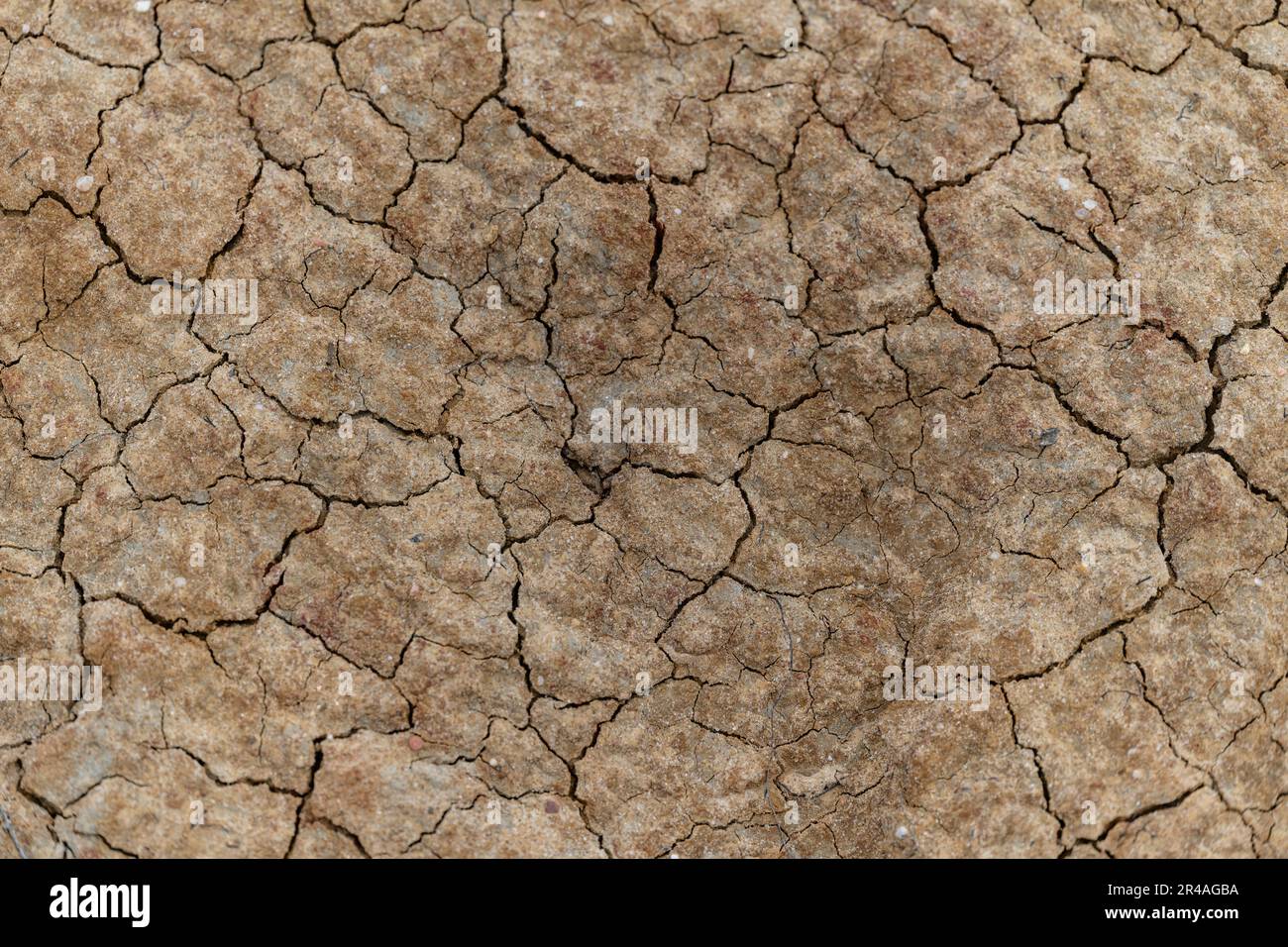 A cracked and parched desert landscape with dry earth and deep fissures ...