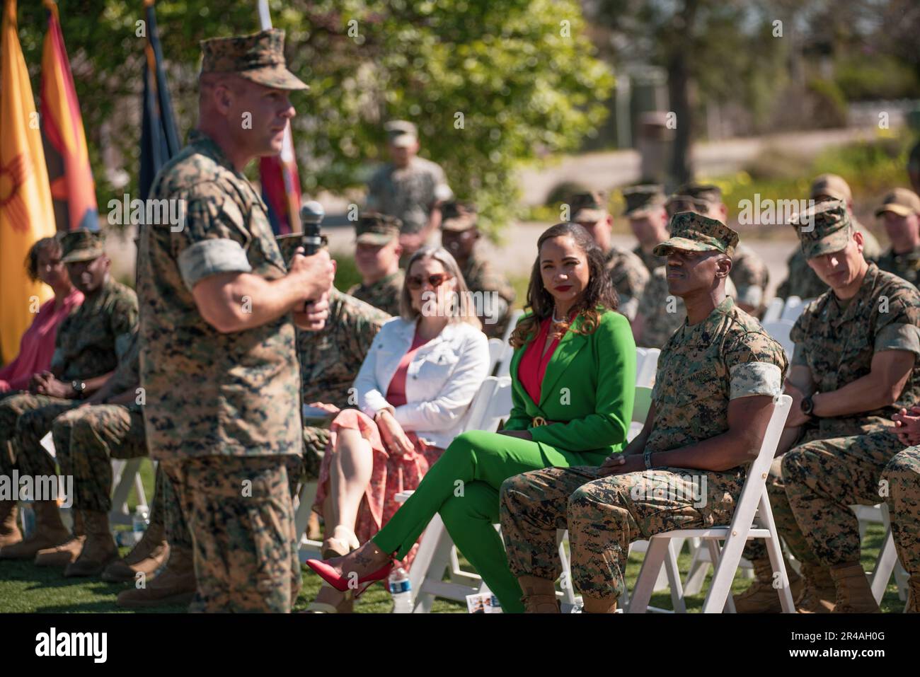 U.S. Marine Corps Col. Sean Dynan, commanding officer of the 15th ...
