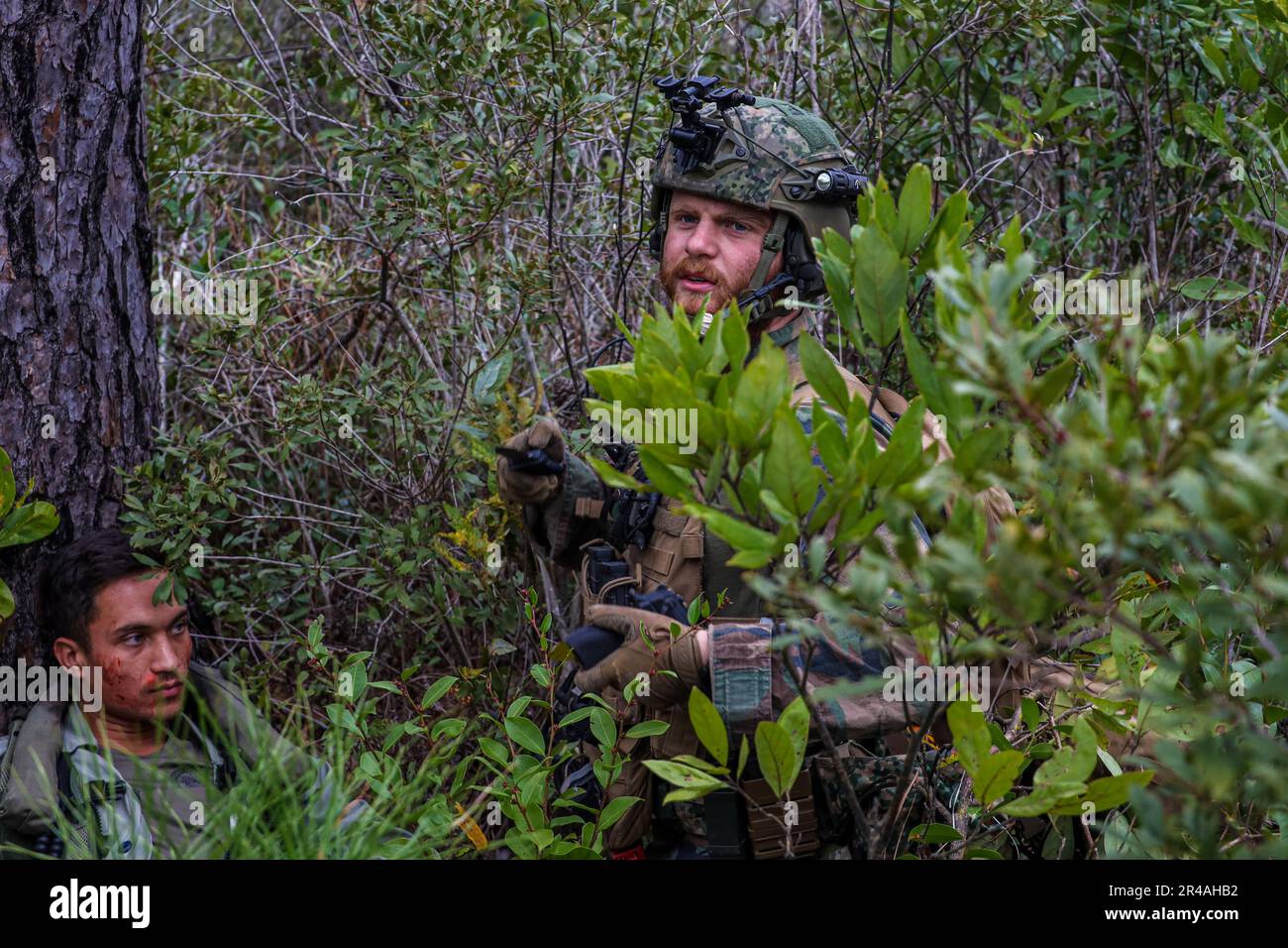 A Dutch Marine with Marine Squadron Carib, Netherlands Marine Corps ...