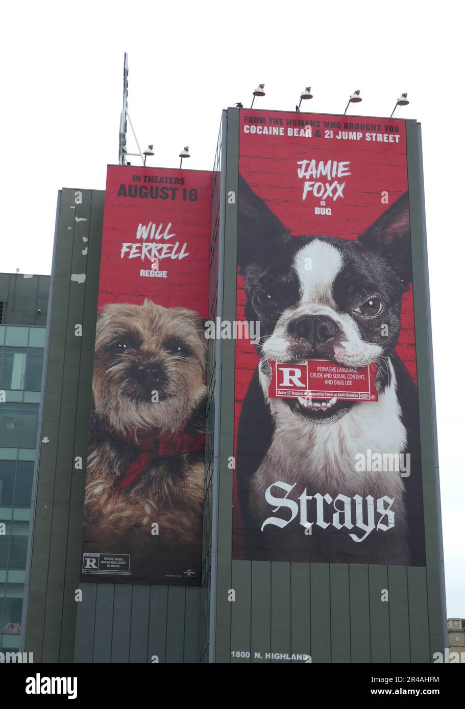 Strays 2023 movie hi-res stock photography and images - Alamy