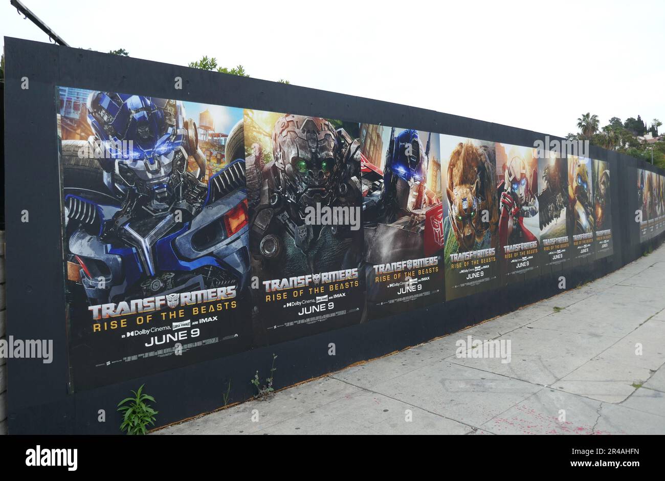Los Angeles, California, USA 26th May 2023 Transformers Rise of the ...